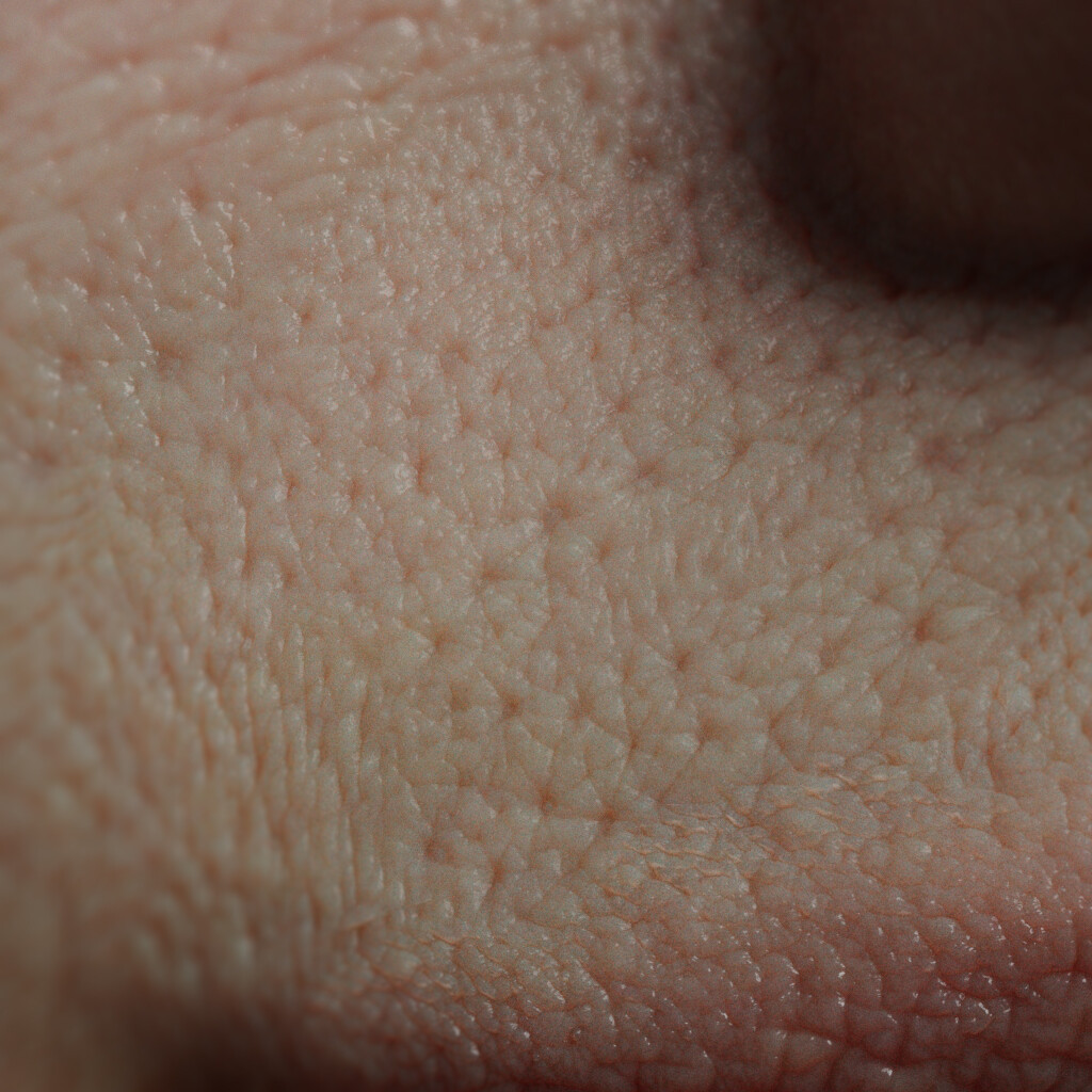 vahid ahmadi - Ariana