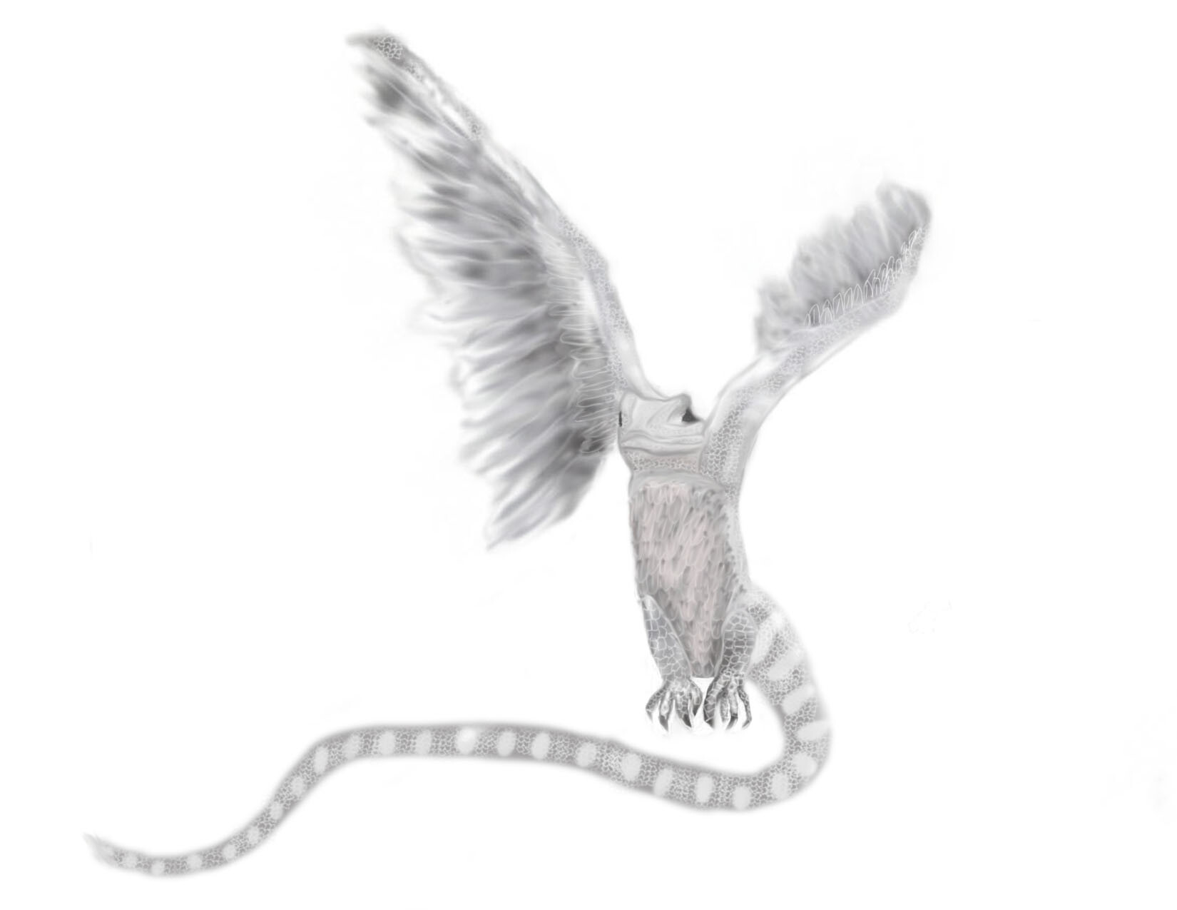 ArtStation - Scarlet Macaw + Asian/Chinese Water Dragon Animal Fusion