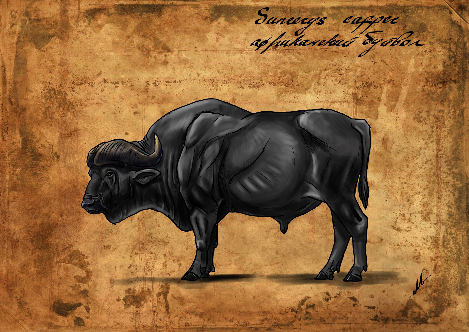 ArtStation - the hunter call of the wild African buffalo