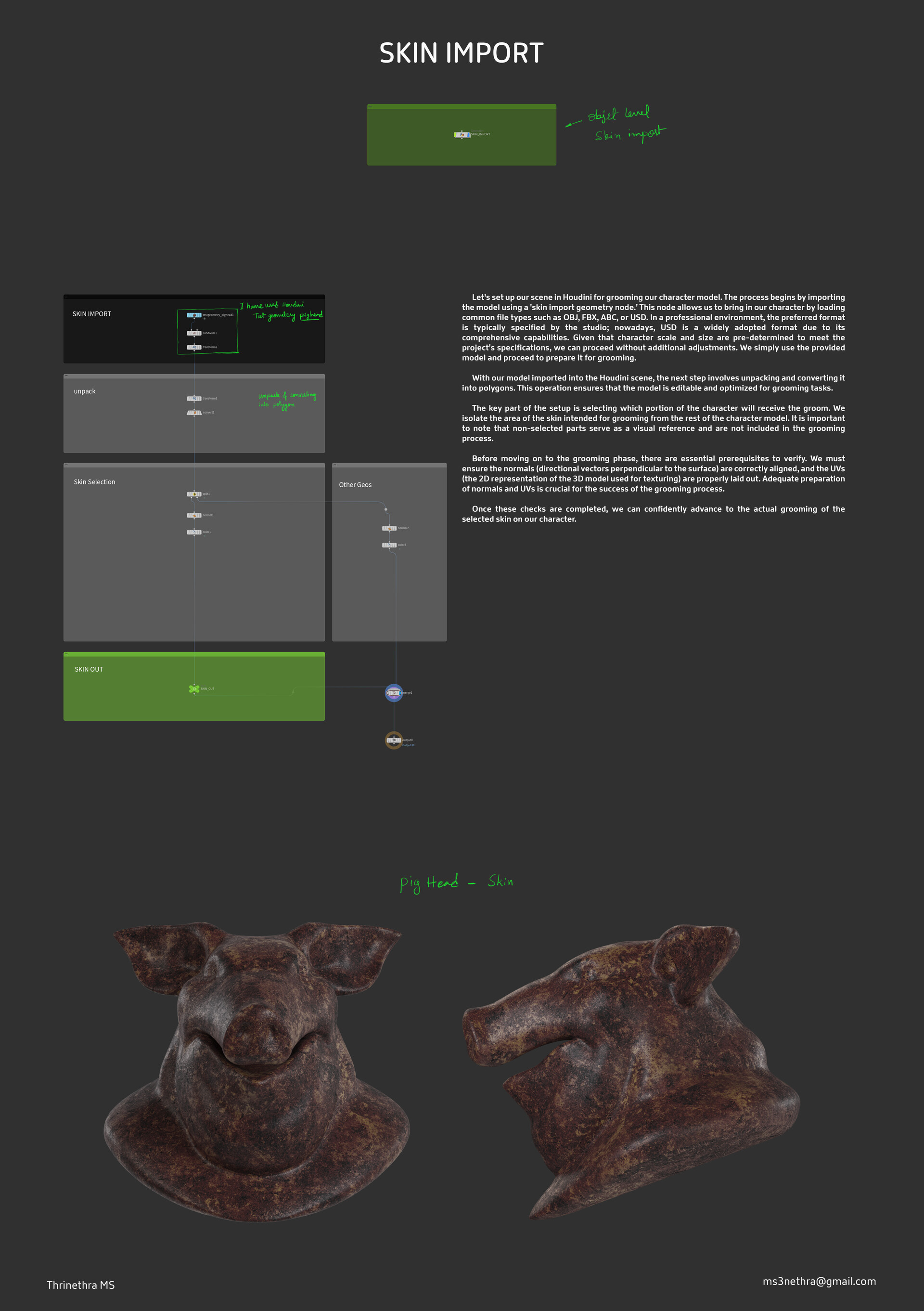 thrinethra ms - Houdini Groom Template