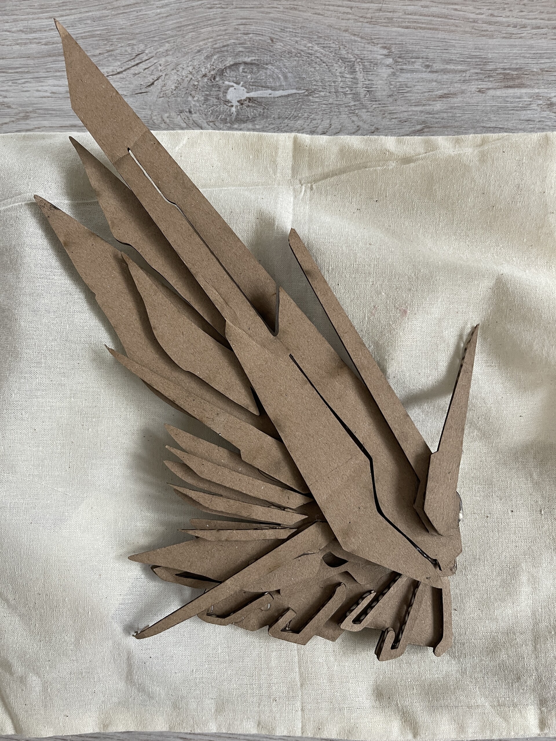 Niki van der Kuil - Mecha Wings