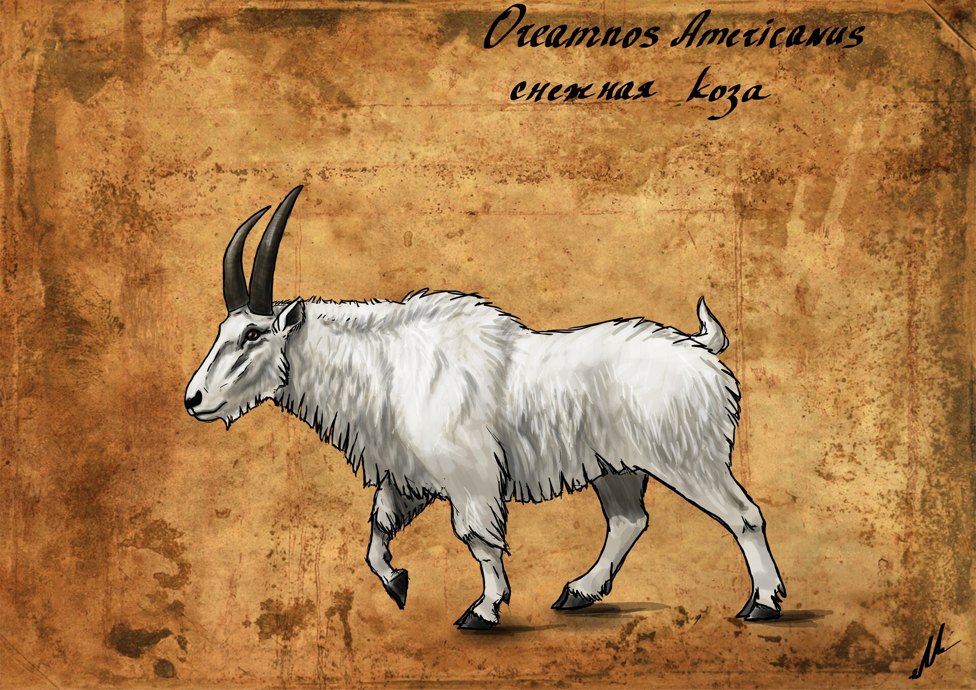 ArtStation - the hunter call of the wild - snow goat