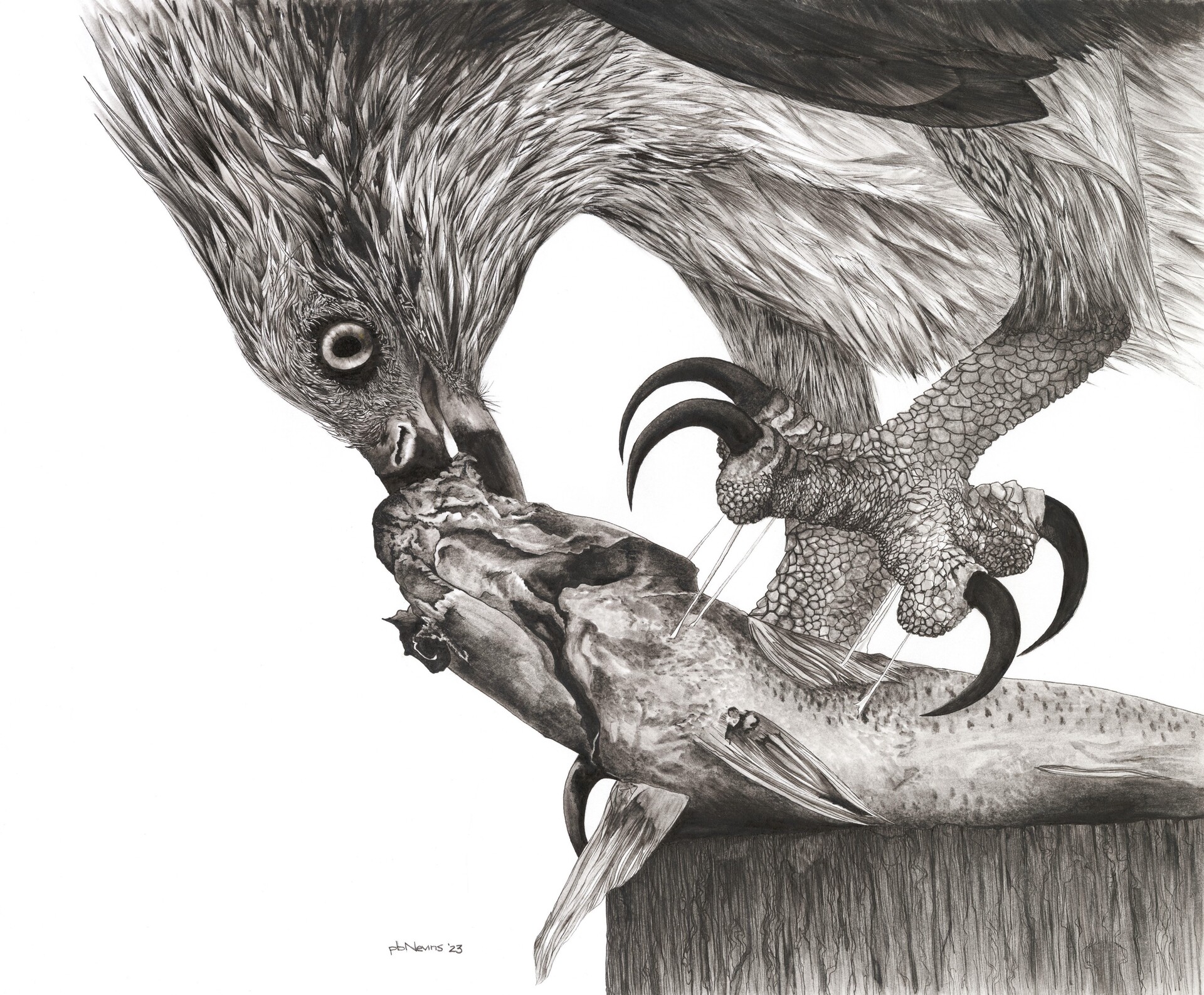 ArtStation - Ravenous