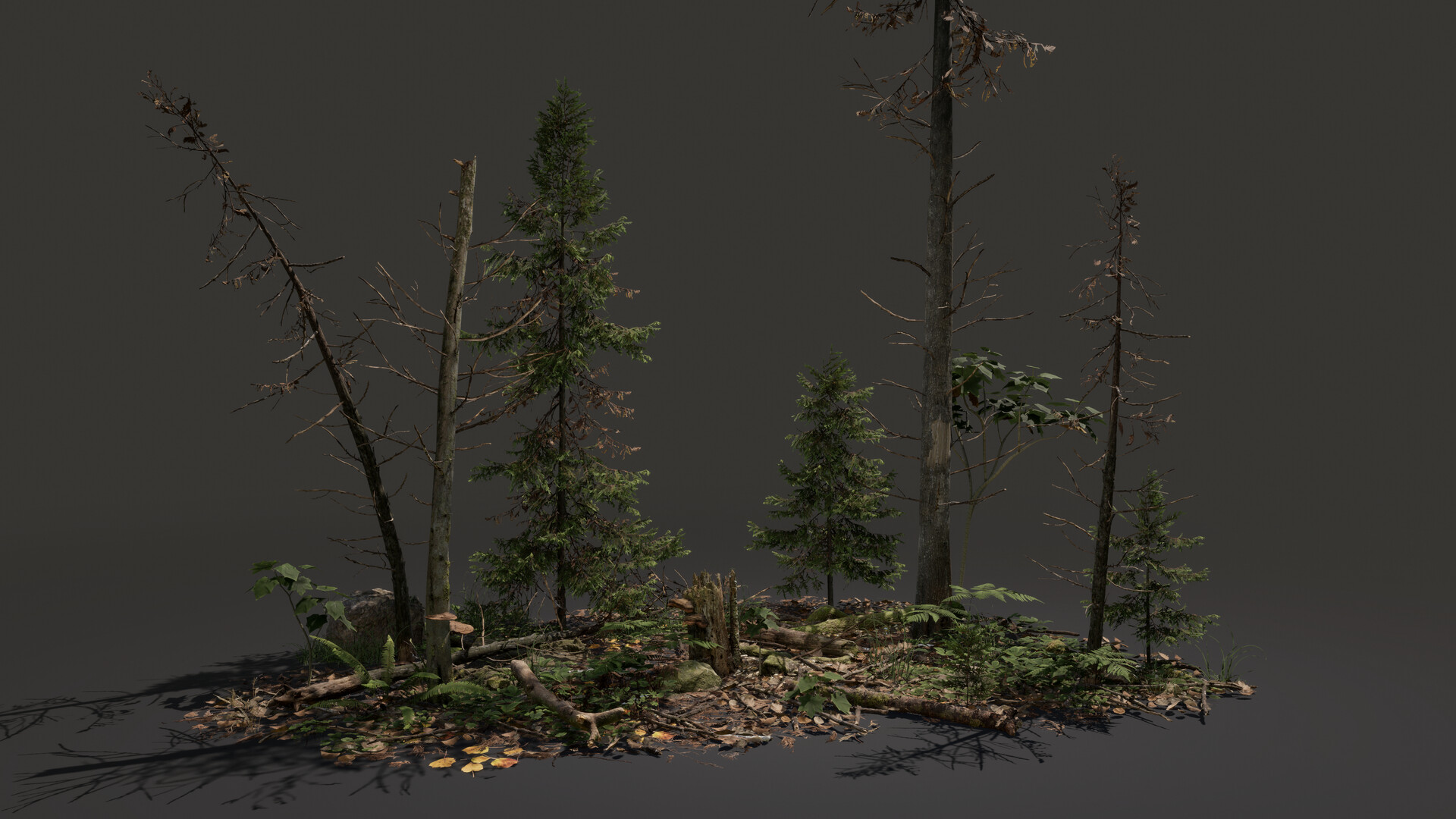B. Paul - Mossy Cedrus Forest - 3D Models
