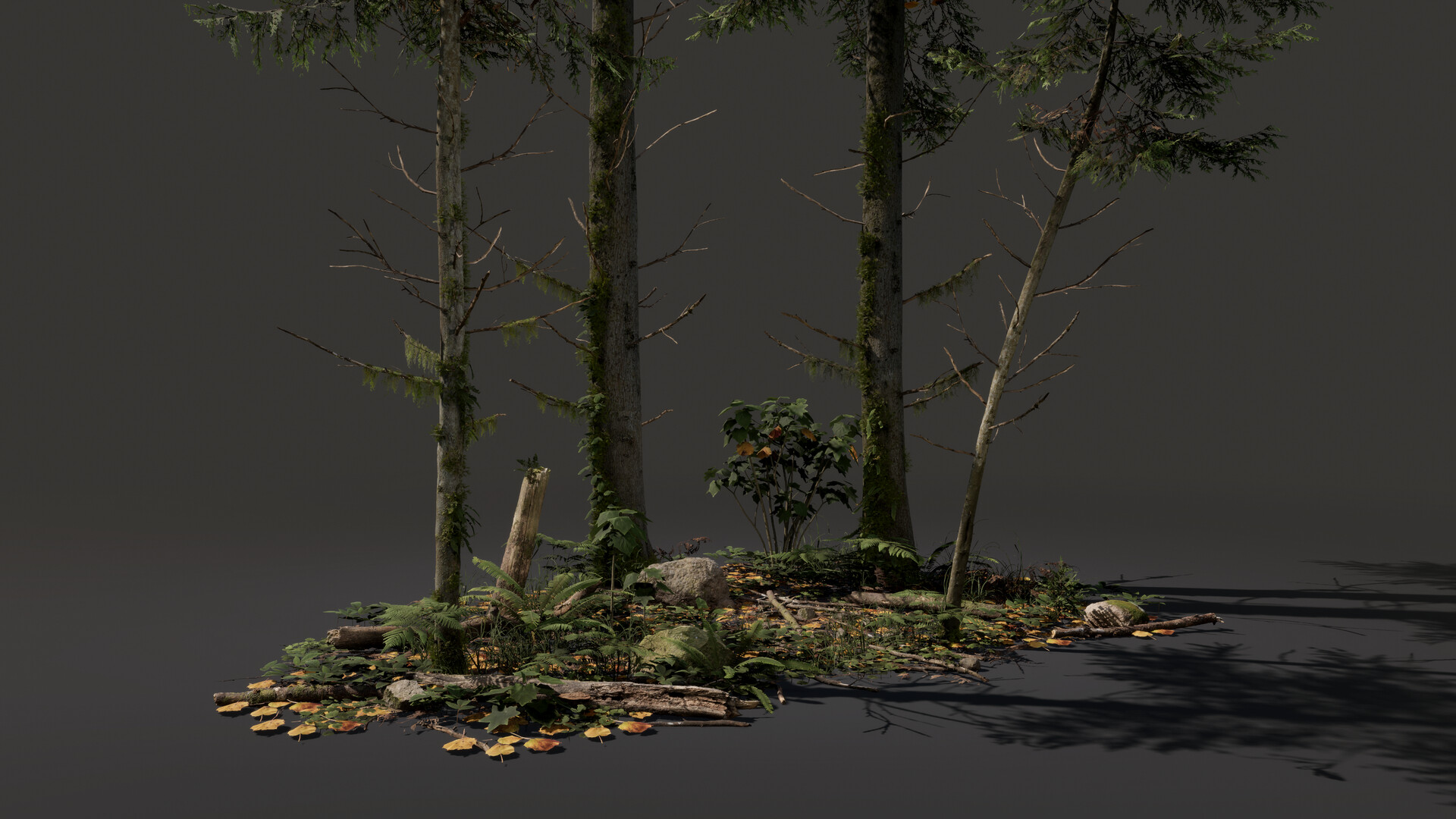 B. Paul - Mossy Cedrus Forest - 3D Models