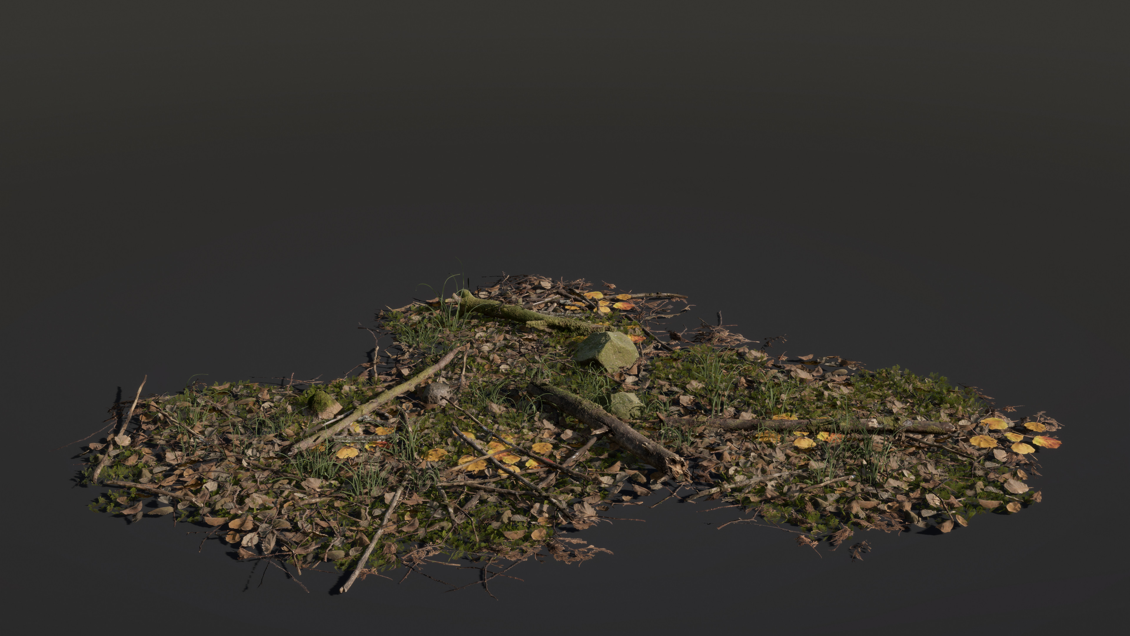 B. Paul - Mossy Cedrus Forest - 3D Models