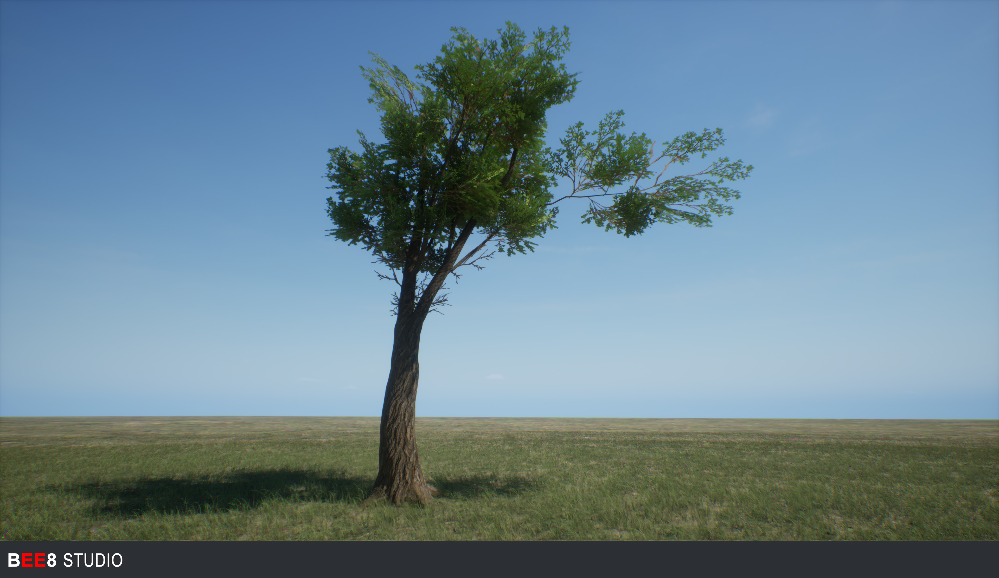 BEE8 STUDIO - SpeedTree | 3D Vegetation Modeling