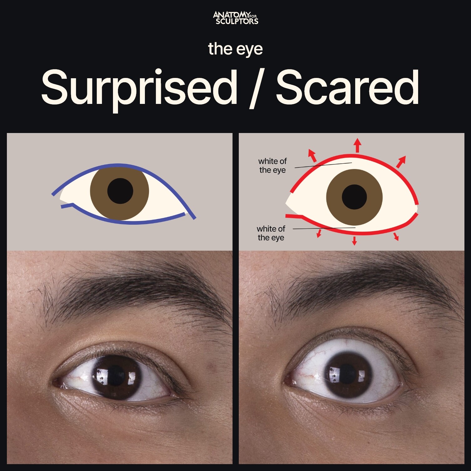 ArtStation - Surprised / Scared (the eye)