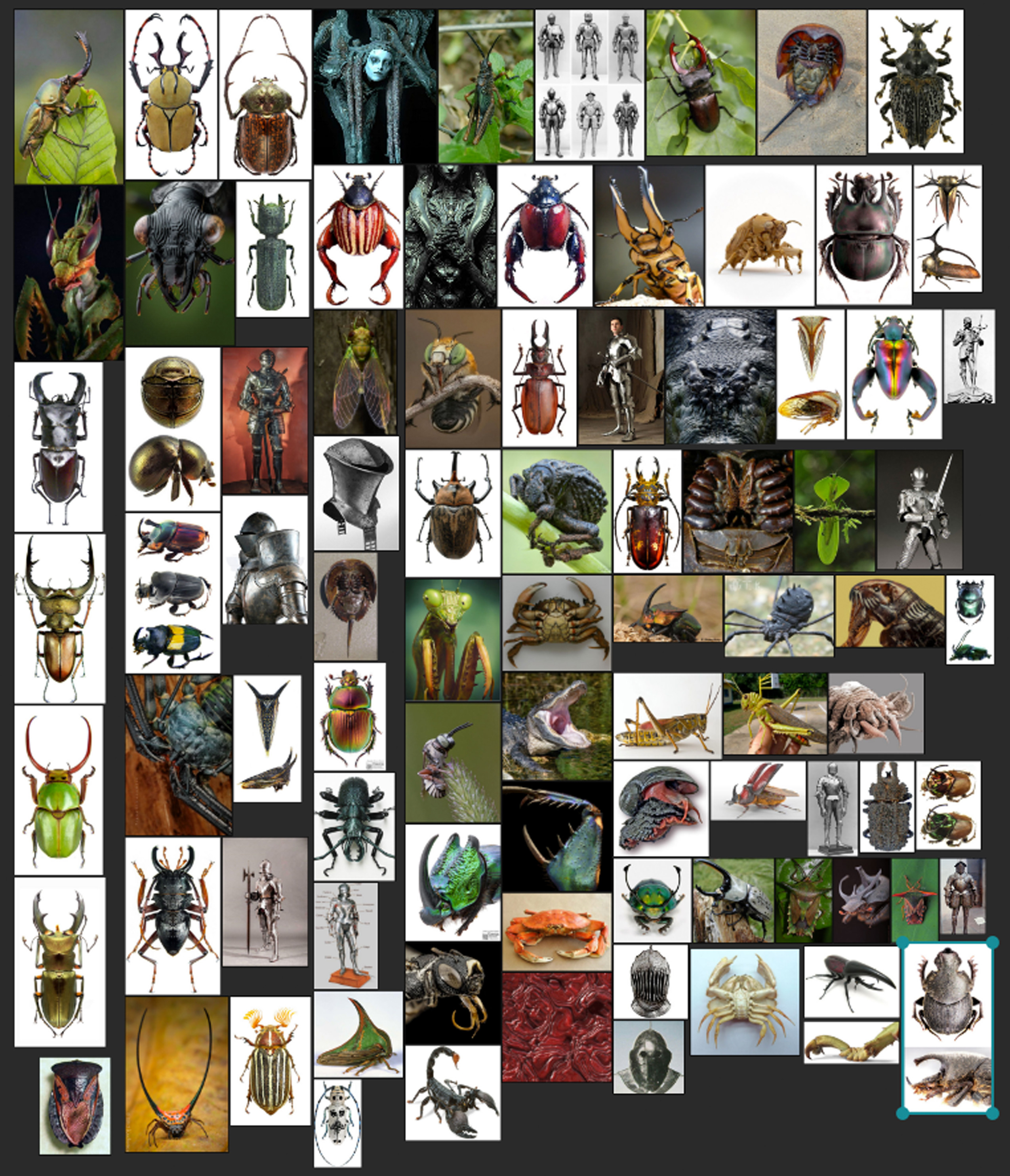 Tyler Novo - Designing The Moranth