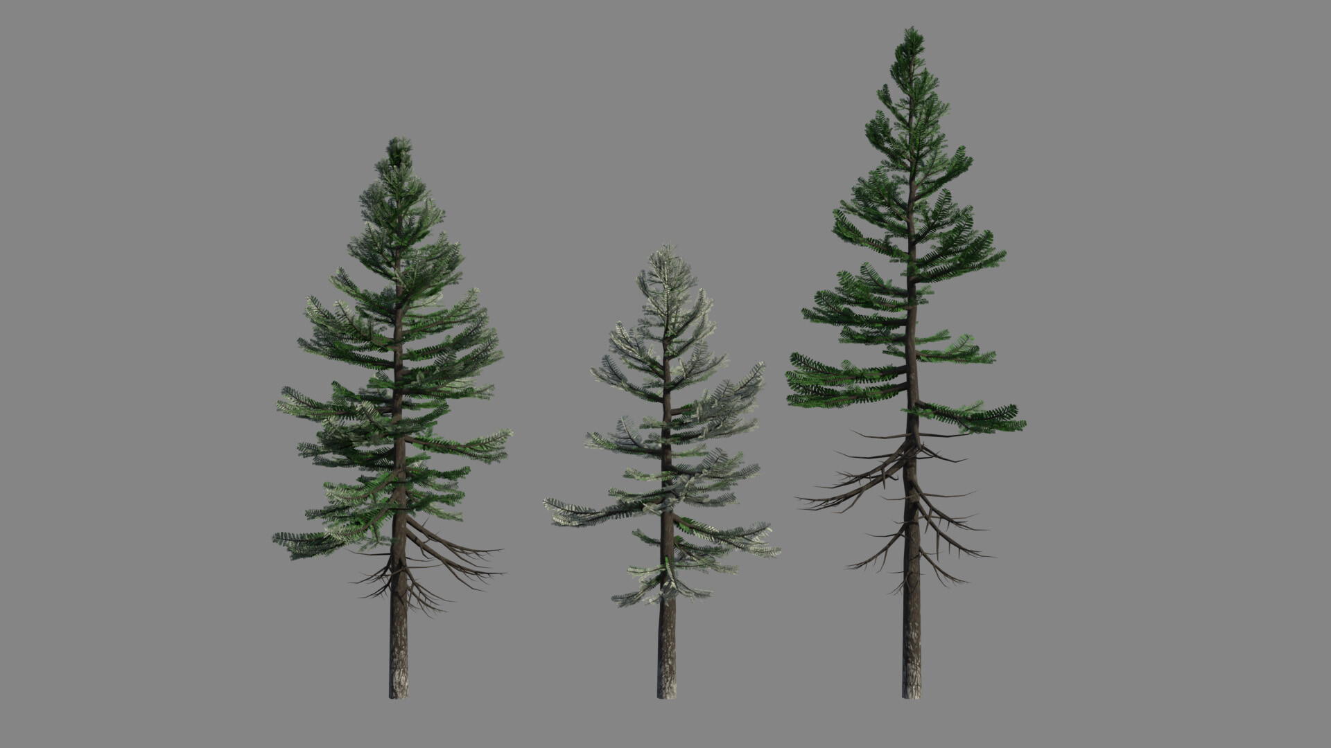 Gyni_X - Procedural Spruce/Fir tree_ Blender Geometry Nodes(Timelapse ...