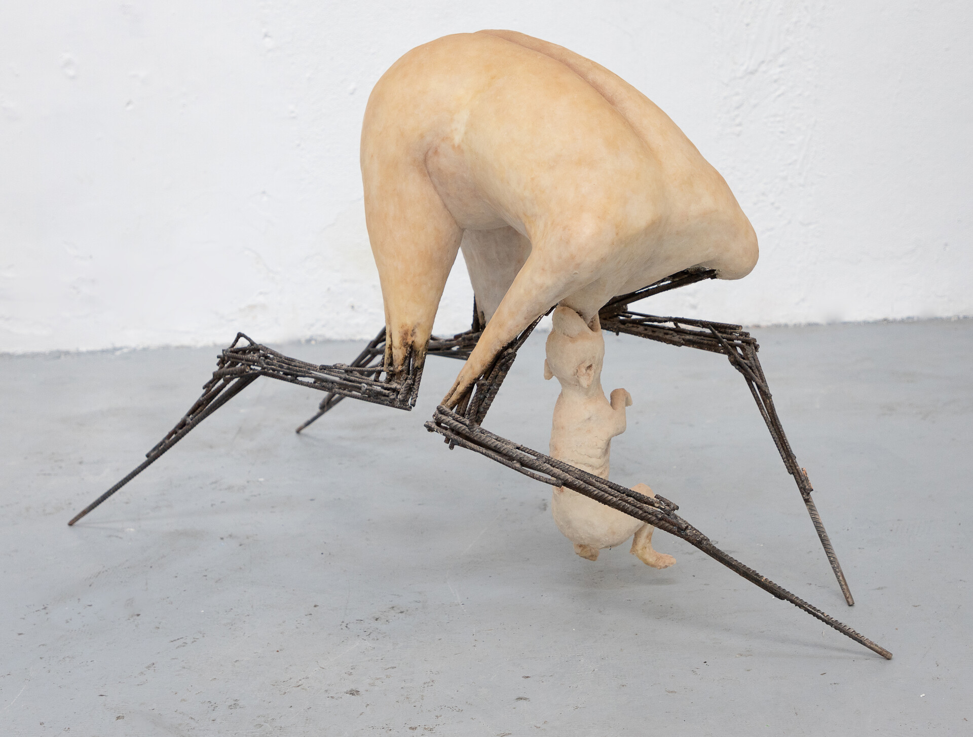 ArtStation - Steps of domestication