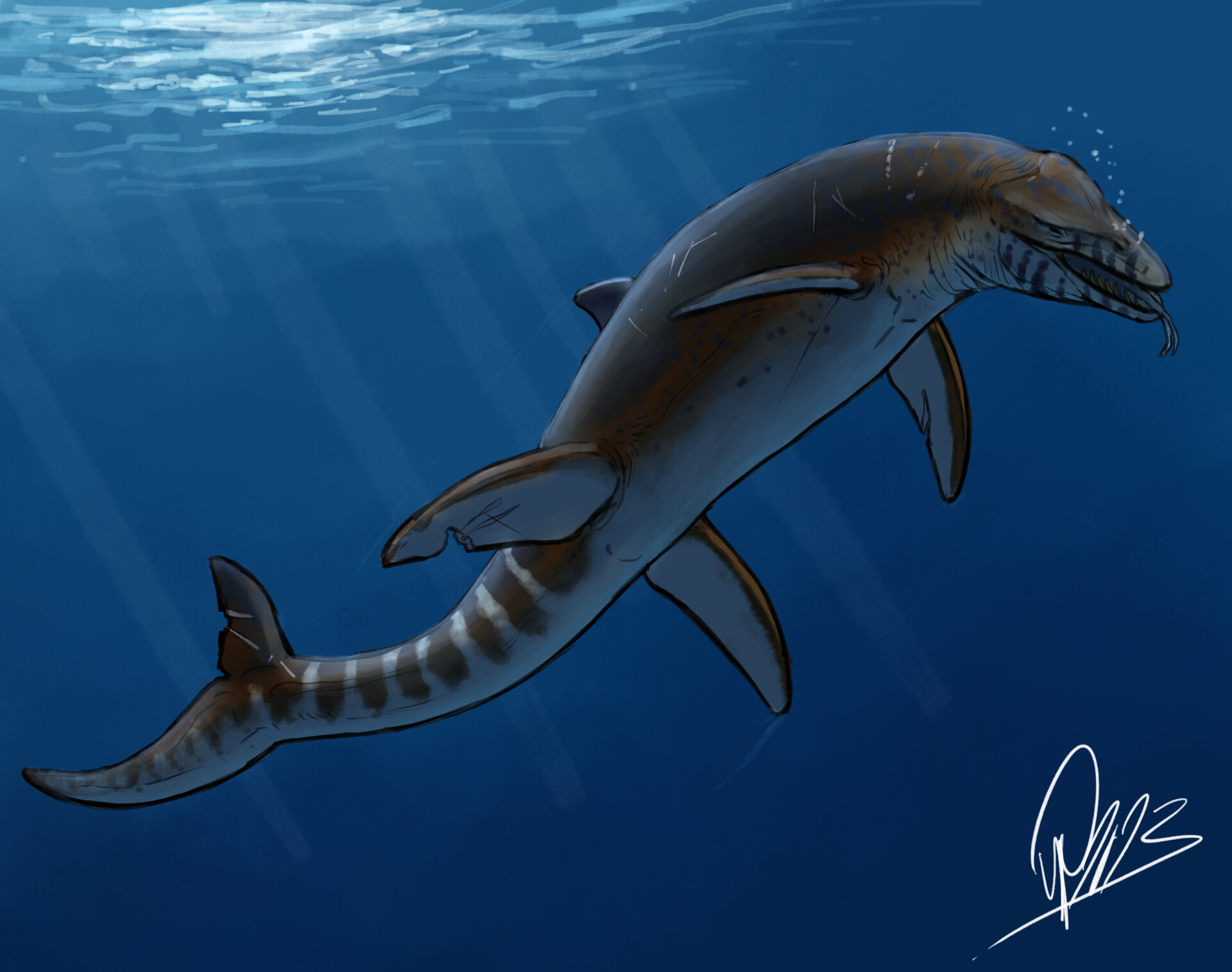 ArtStation - megapterygius