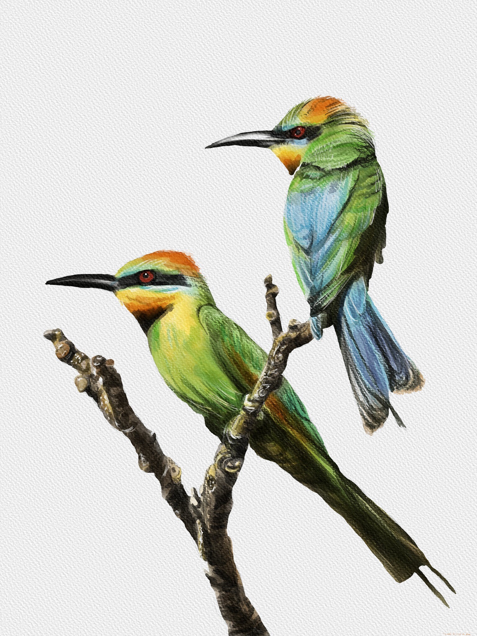 ArtStation - Rainbow Bee-Eaters