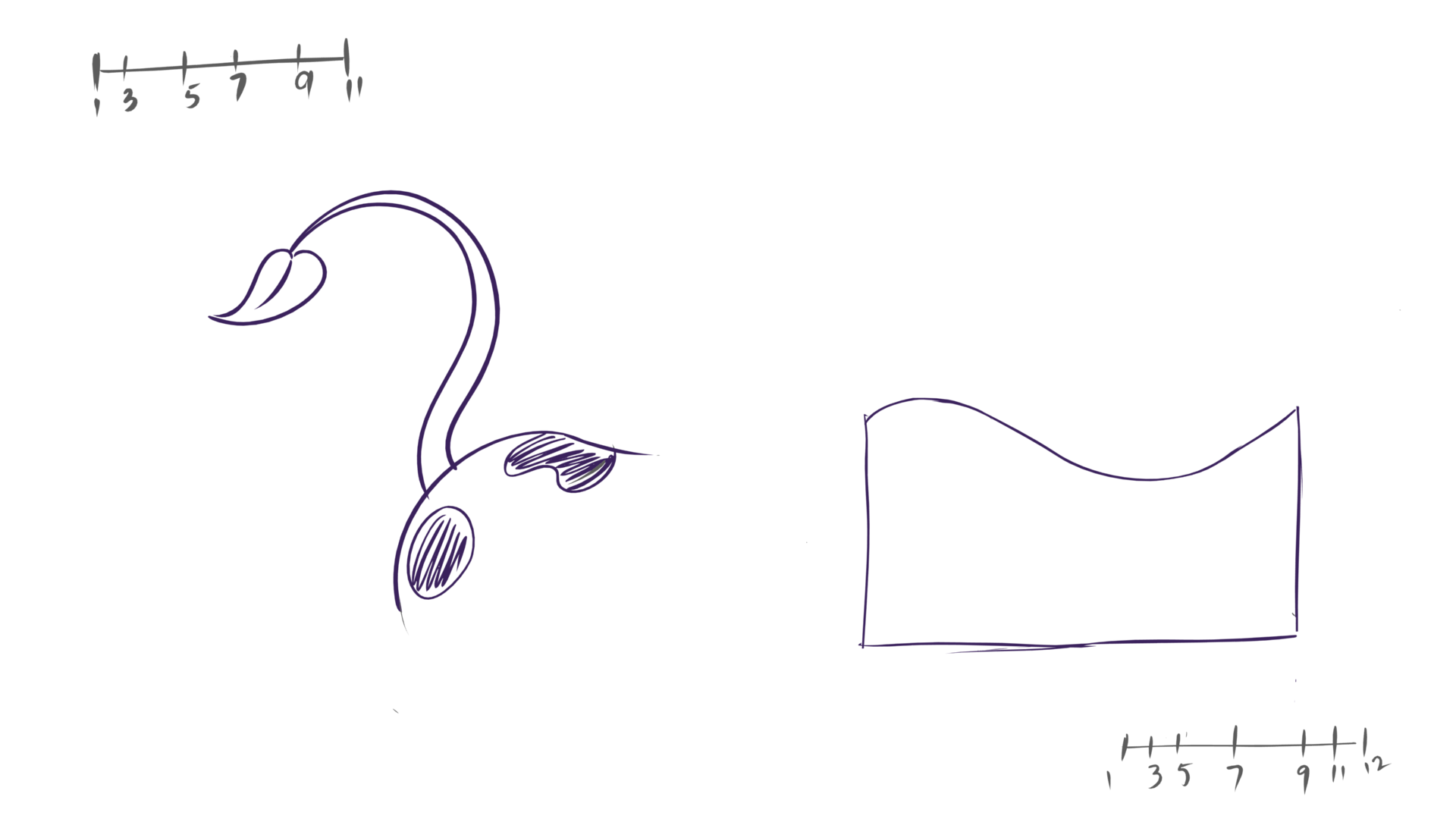 Micole - 2d Animation practice playbook