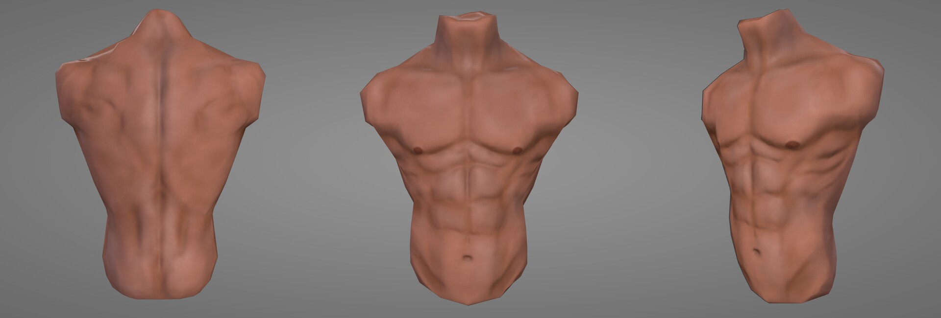 ArtStation - Male Torso