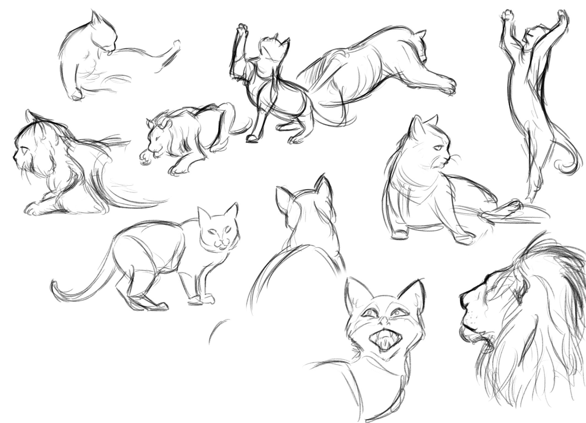 ArtStation - Figure Study - Cats