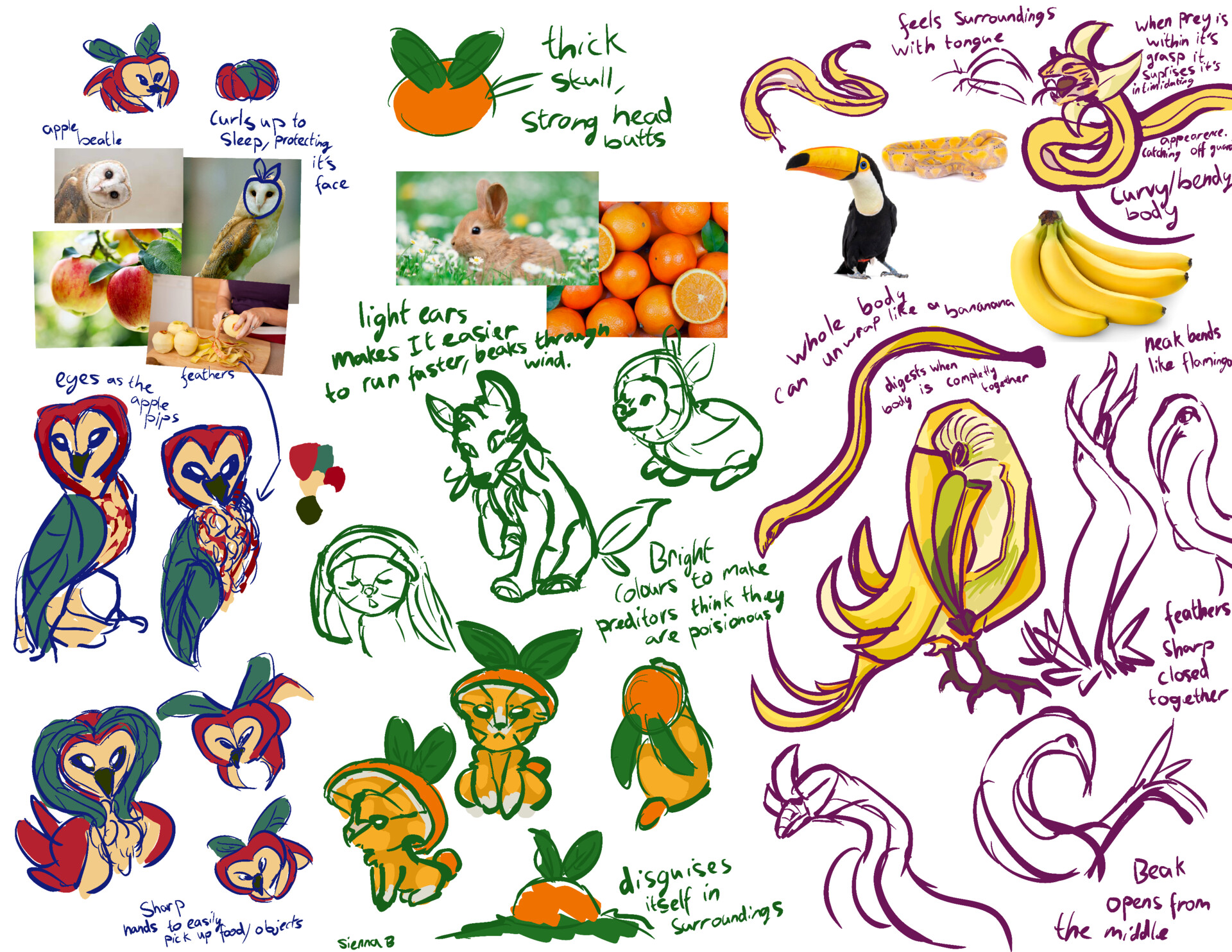 ArtStation - Fruit Animals Designs