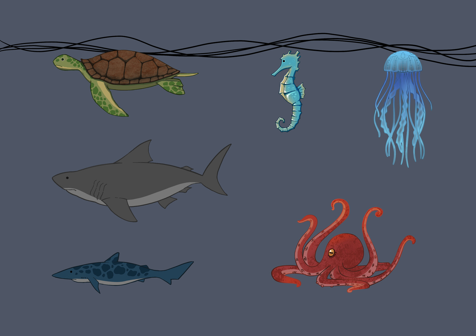 Alan Bear - 海洋生物圖鑑