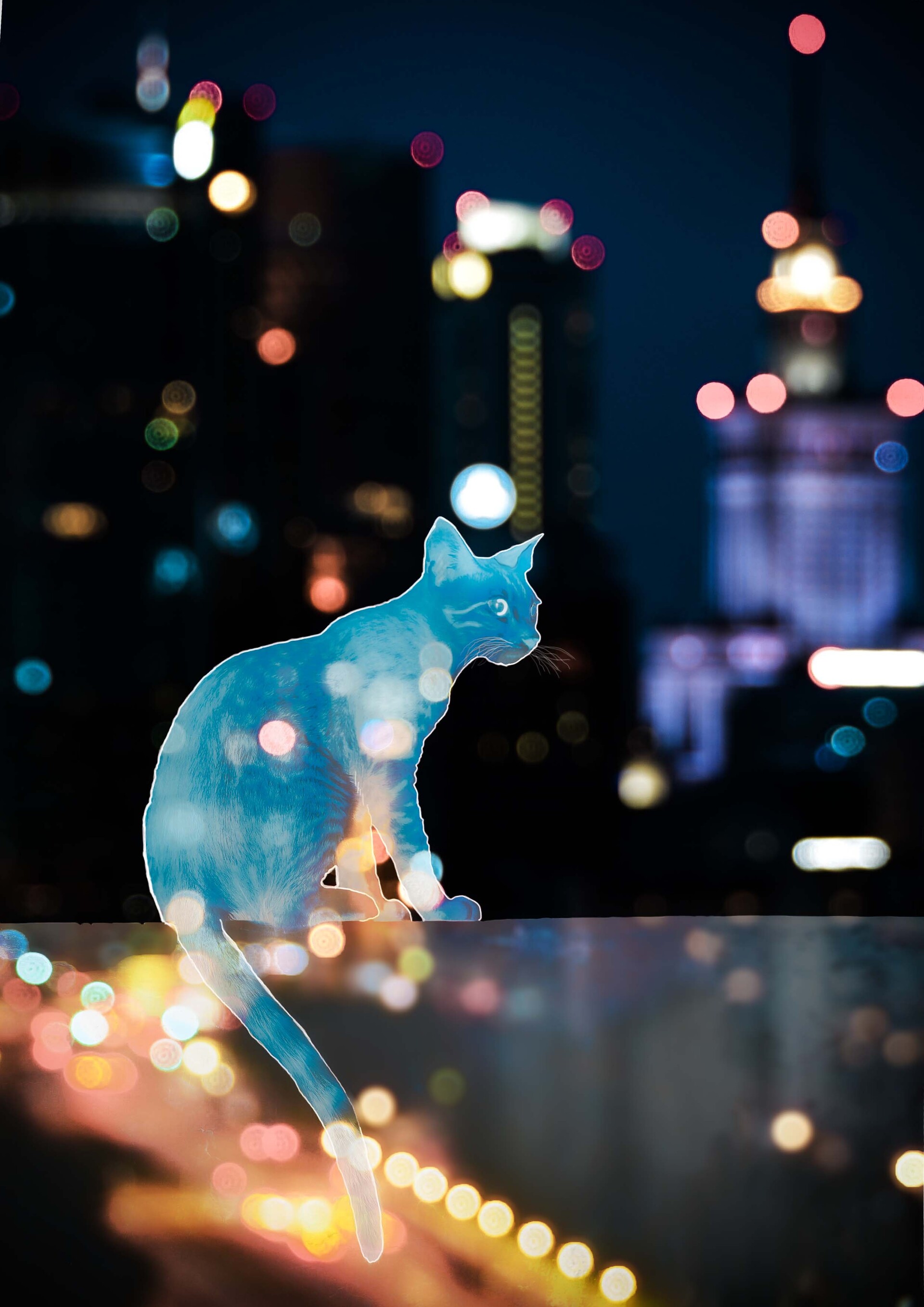 ArtStation - Glowing Cat