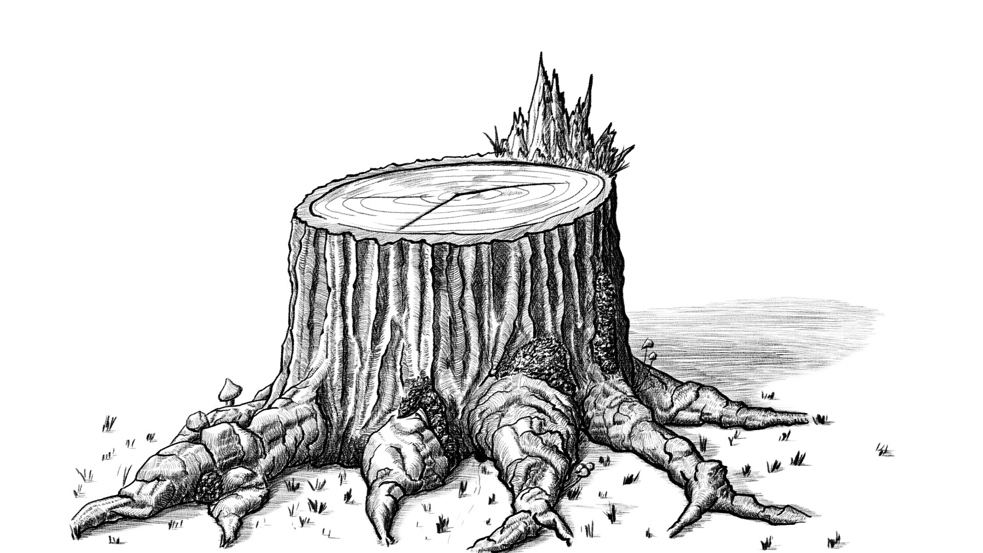 ArtStation - Hatched tree stump