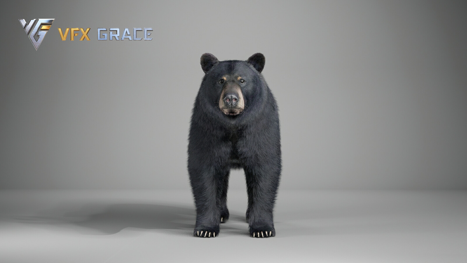 VFX models - American BlackBear UE Character Asset