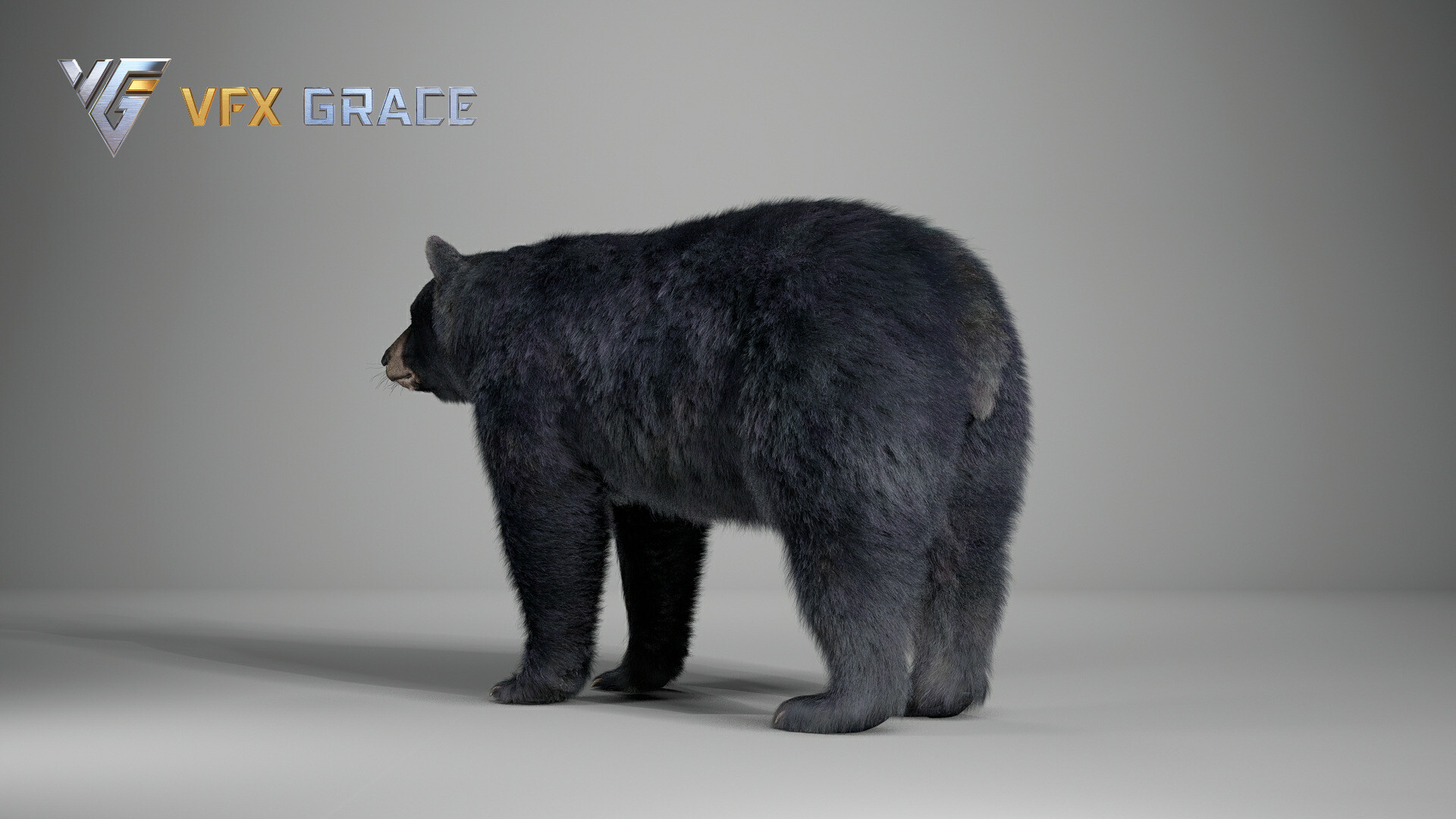 VFX models - American BlackBear UE Character Asset