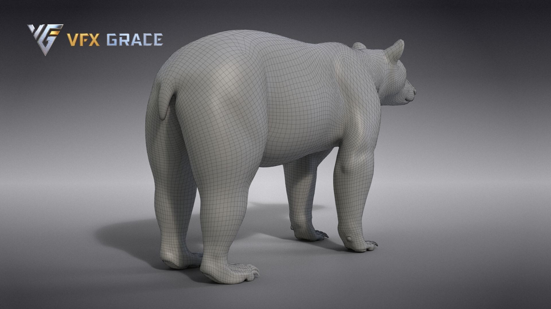 VFX models - American BlackBear UE Character Asset