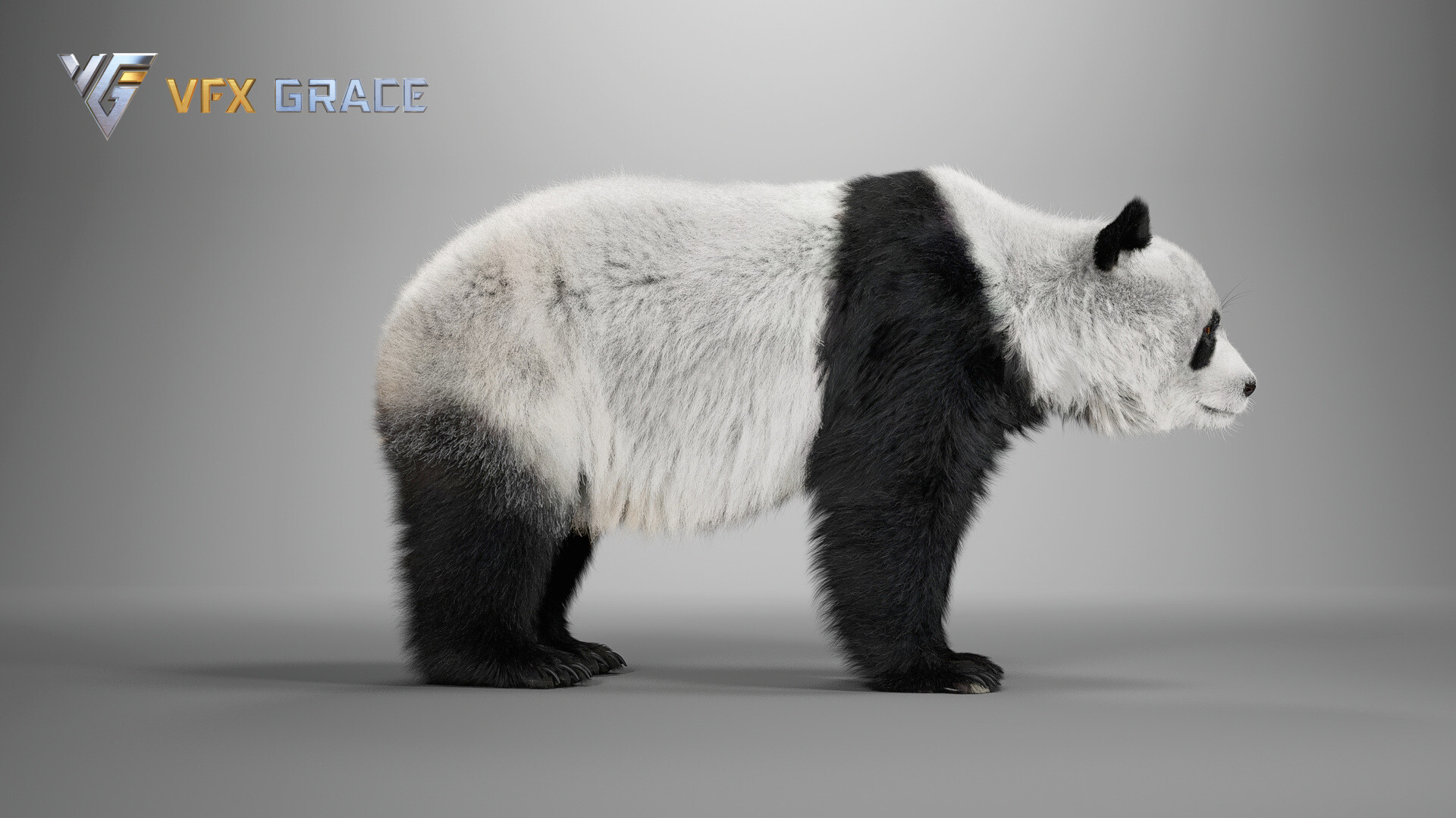 VFX models - Panda - UE Character Asset