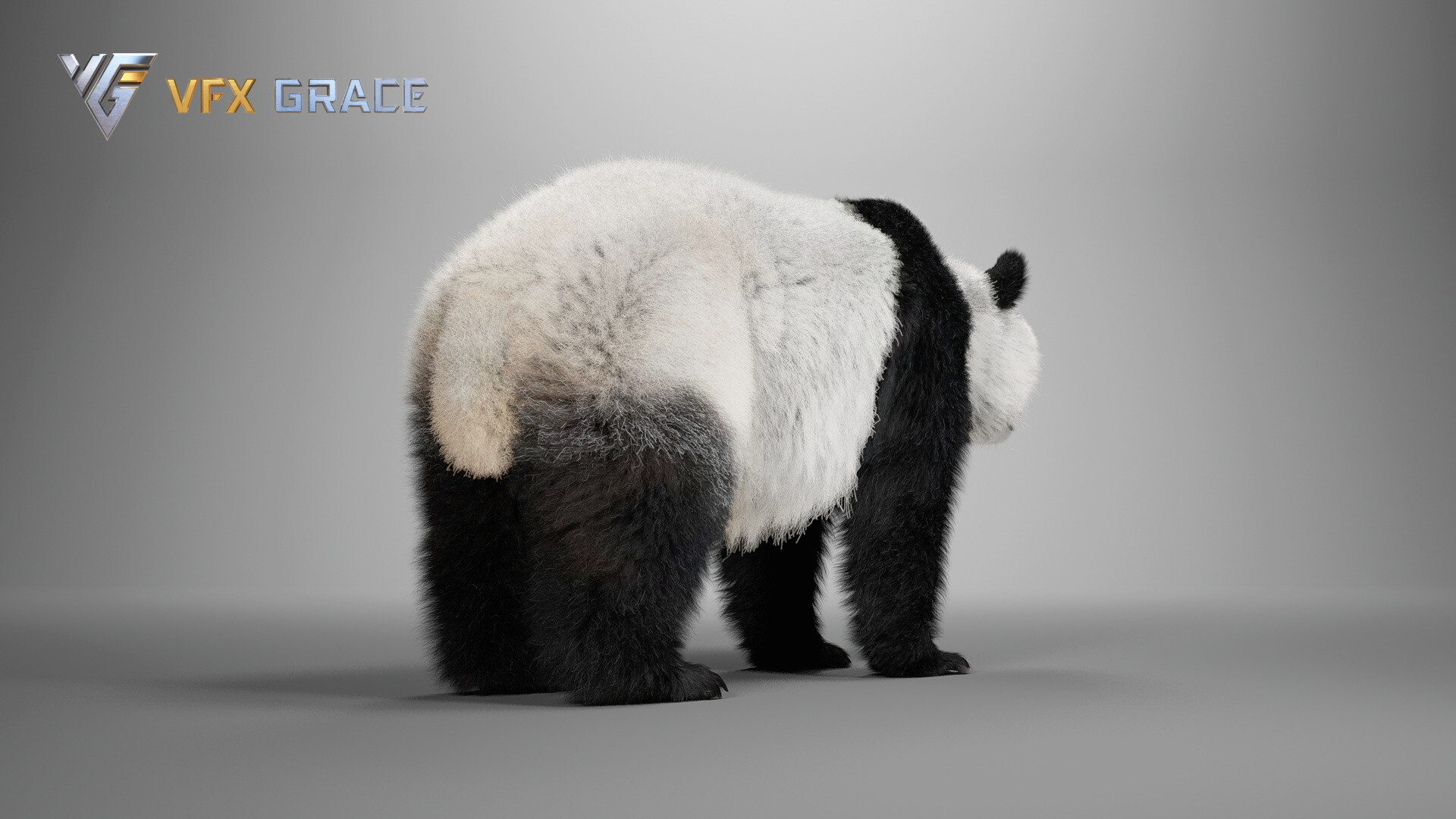 VFX models - Panda - UE Character Asset