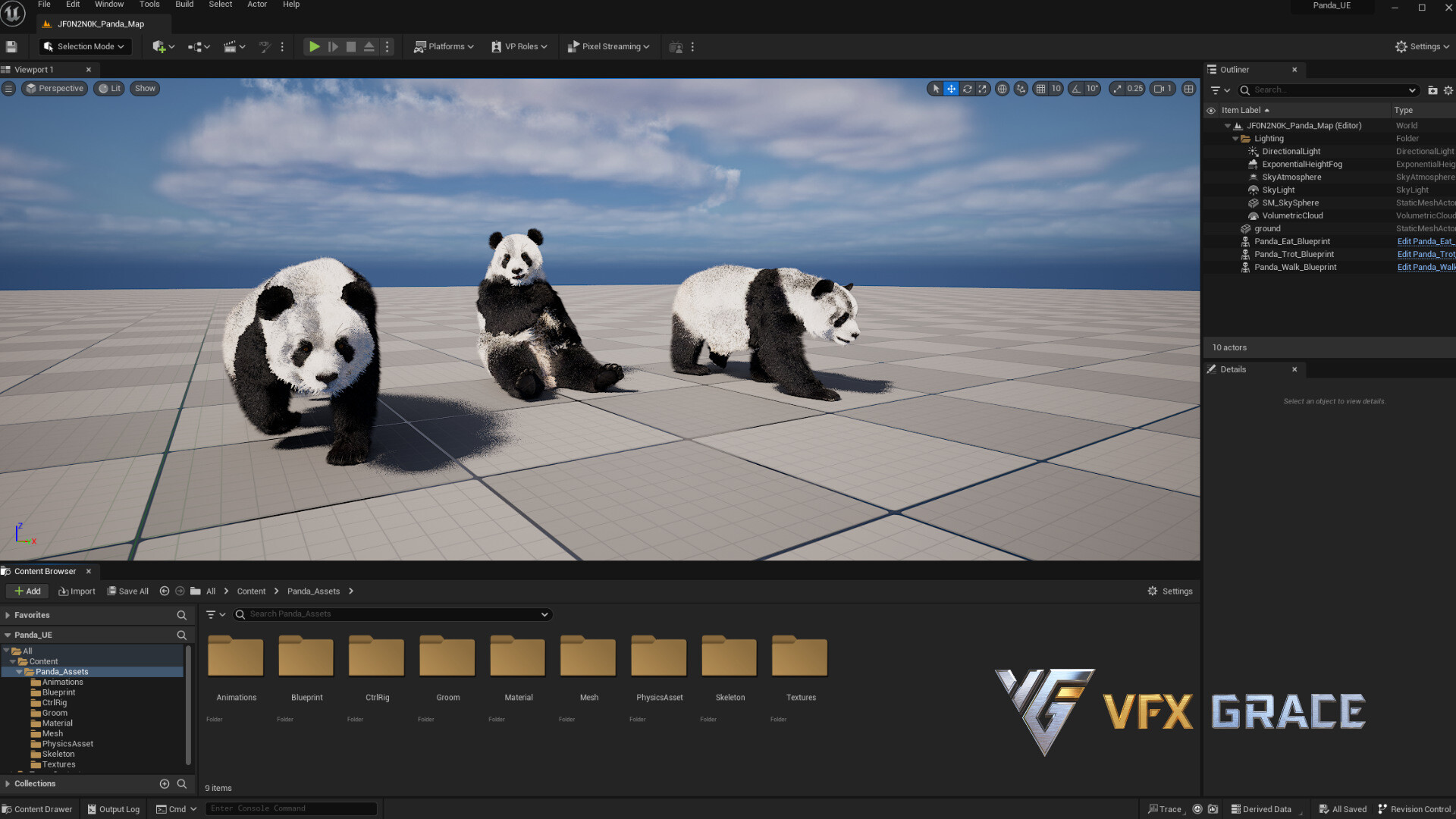 VFX models - Panda - UE Character Asset