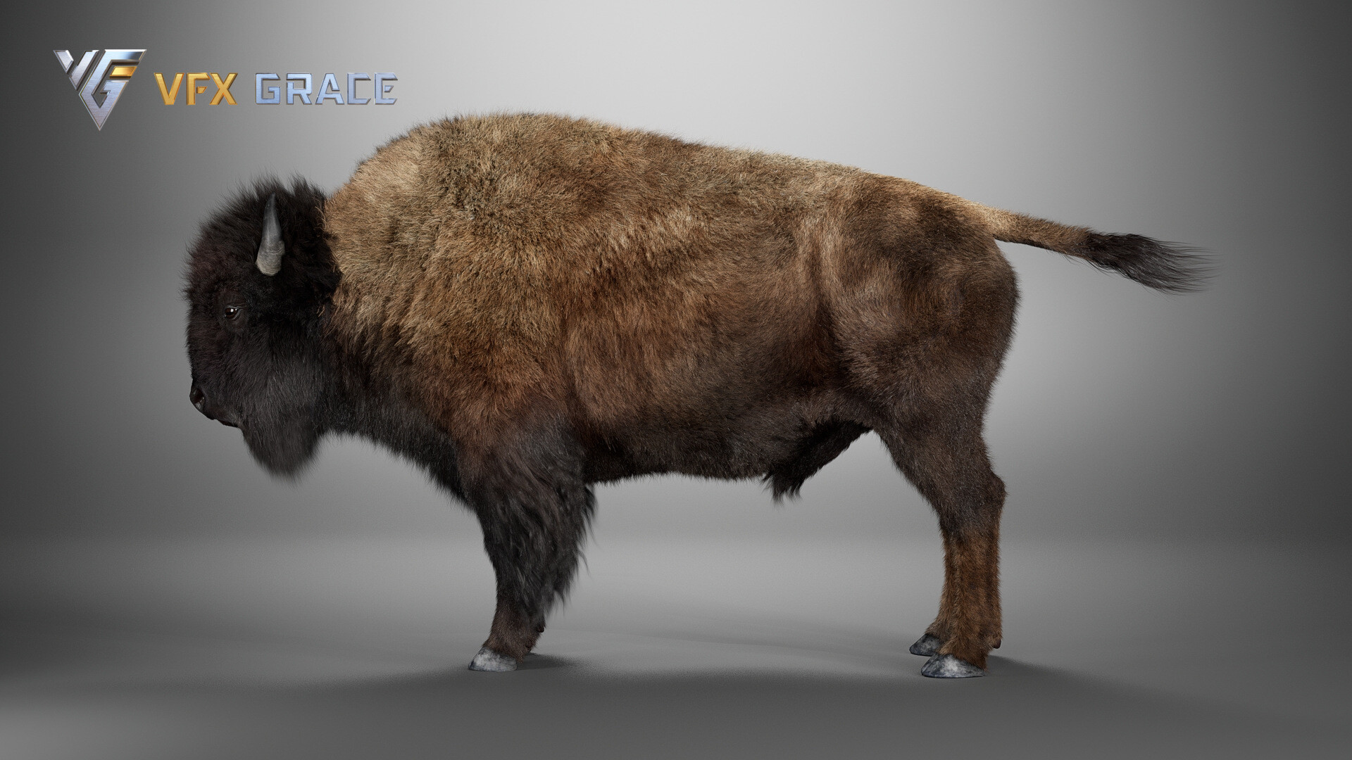 VFX models - Bison Male - UE Character Asset