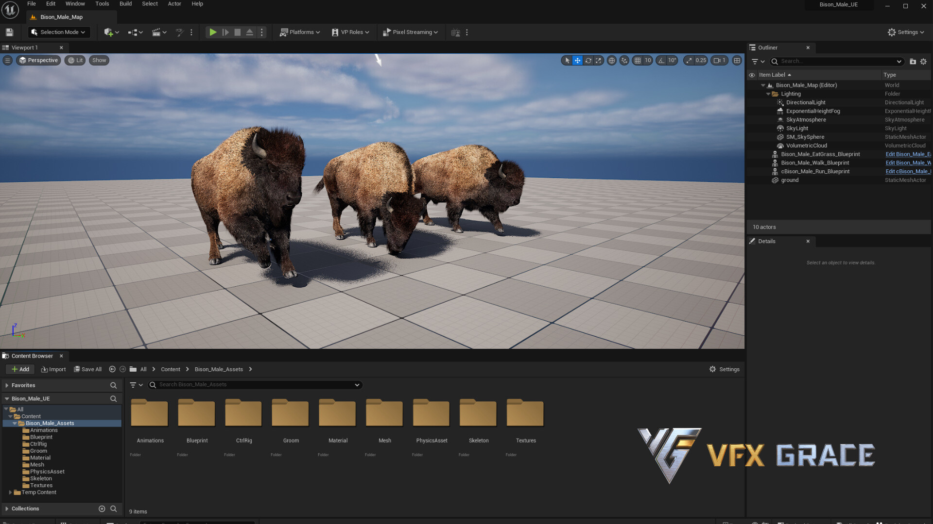 VFX models - Bison Male - UE Character Asset