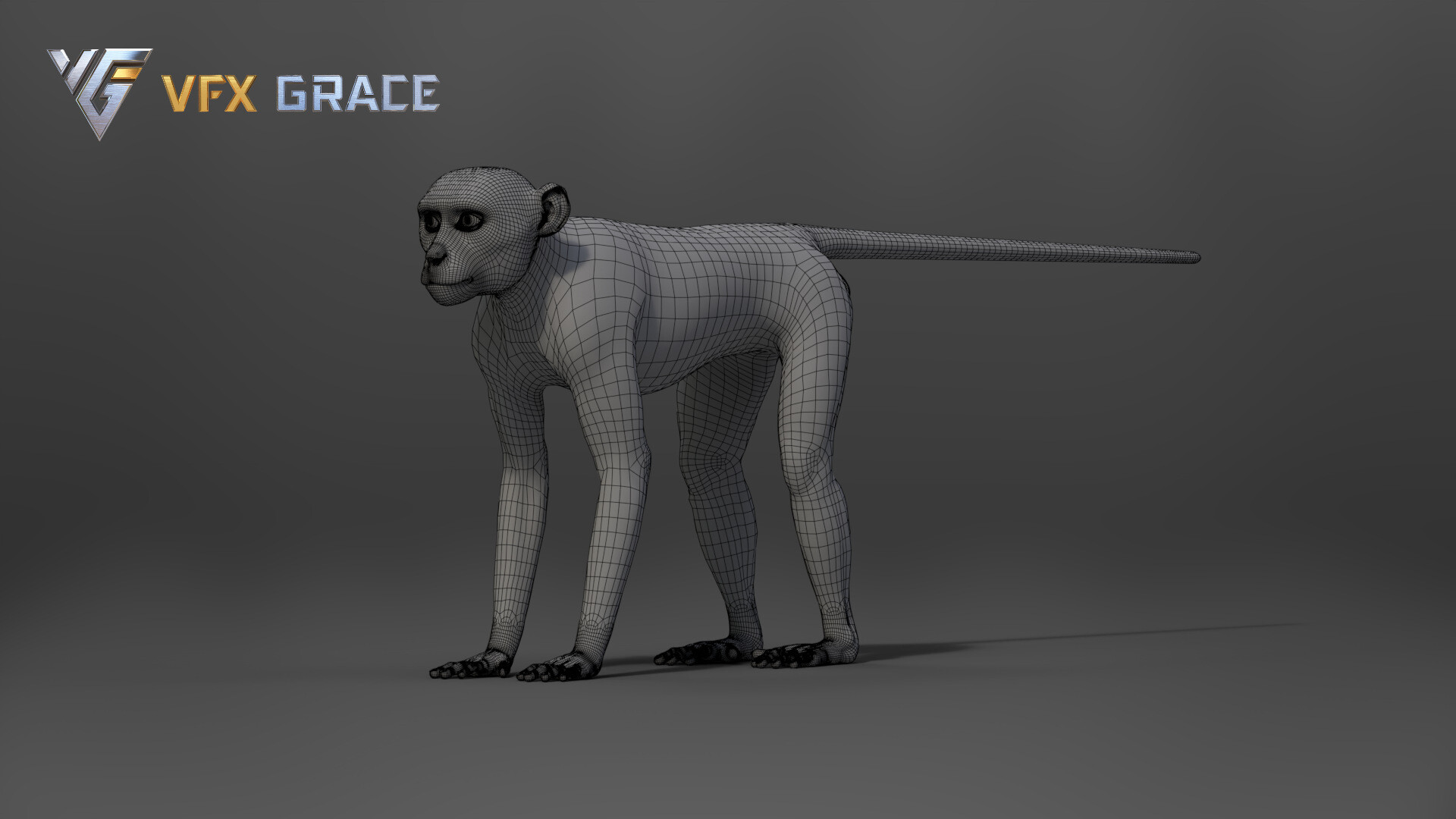 VFX models - Vervet Monkeys - UE Character Asset