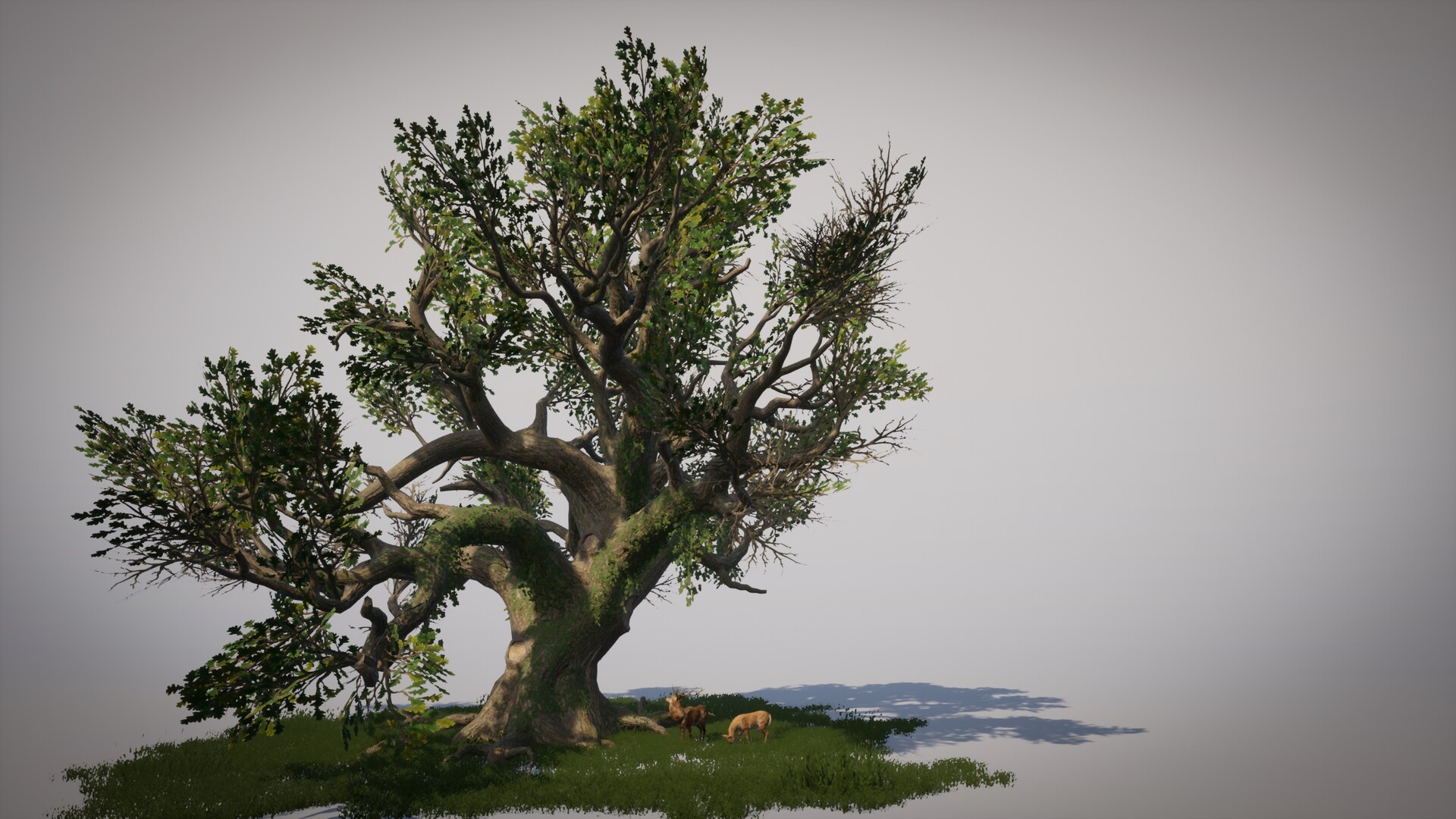 ArtStation - English Oak