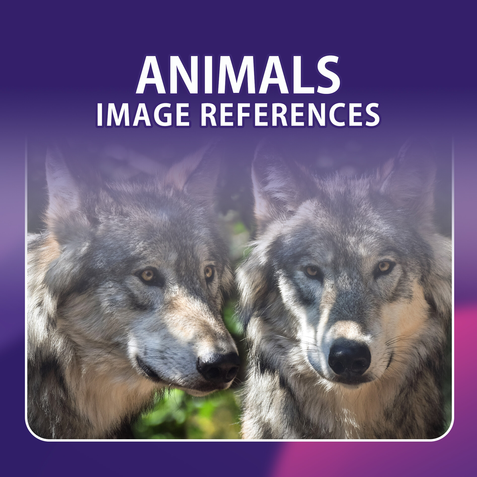 ArtStation - 400 Animal Reference Pack - Vol 1