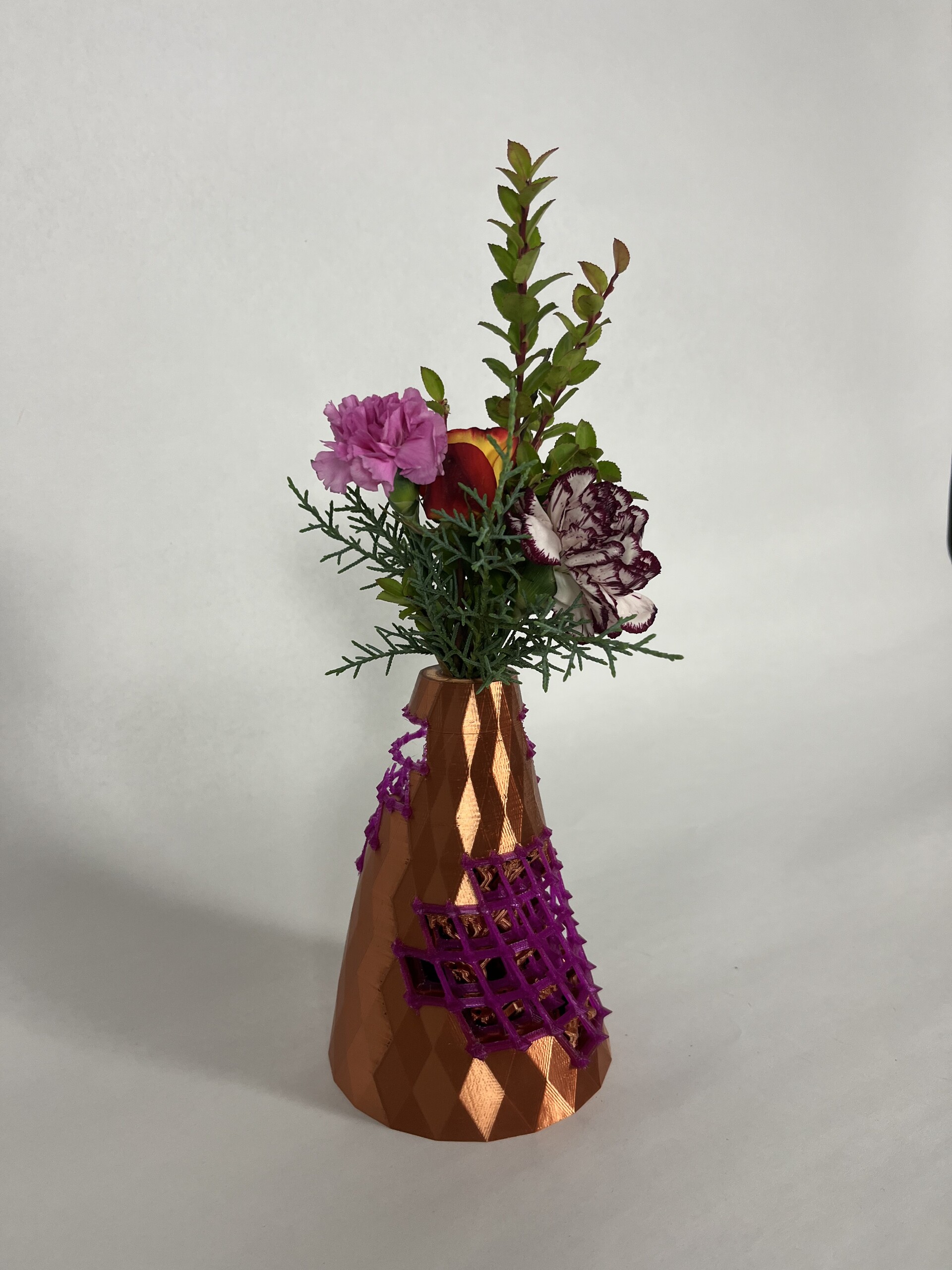 Jonathan Barfield - 3d Vase Year 2