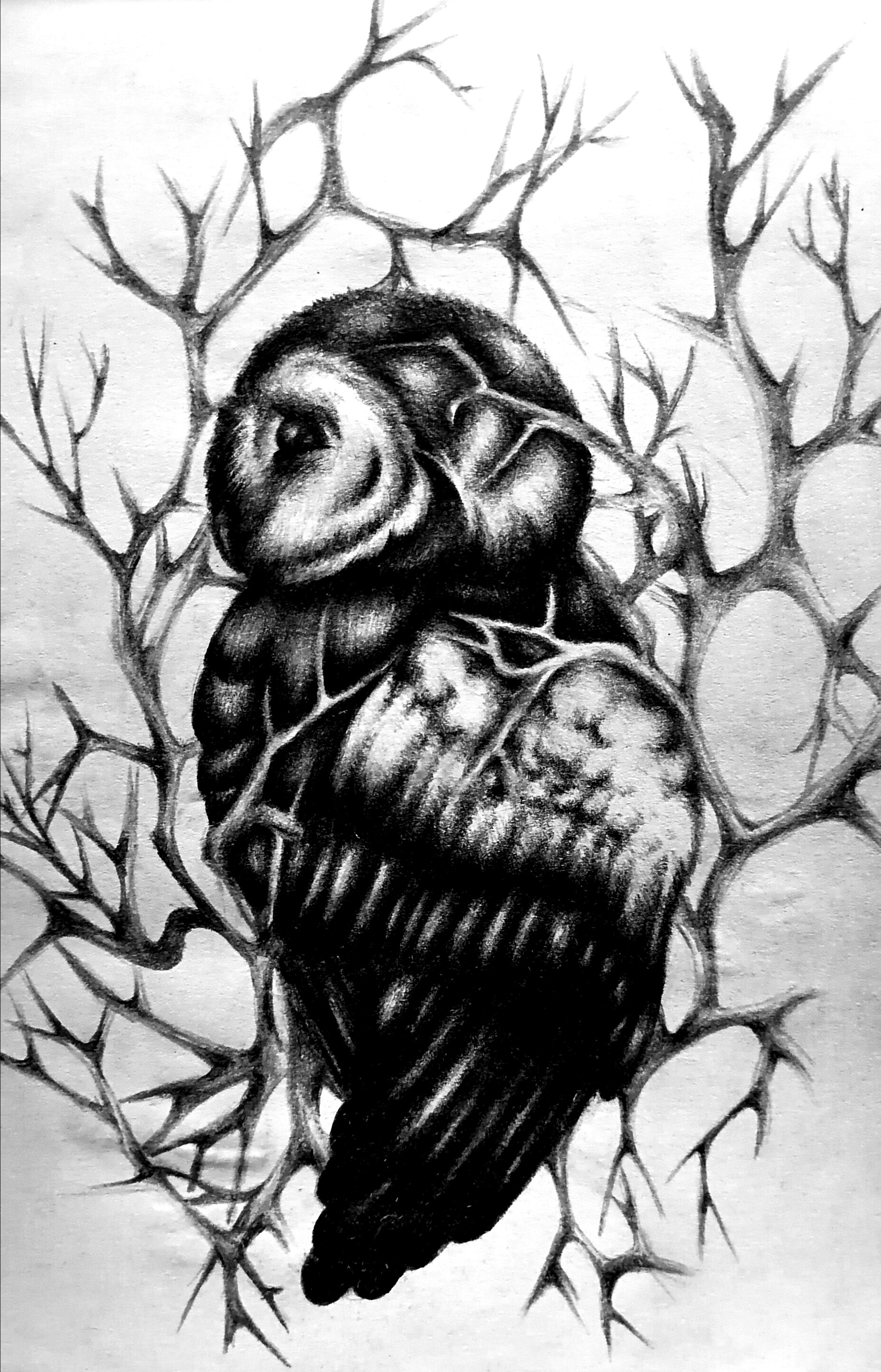 ArtStation - 2 collection of graphic sketches