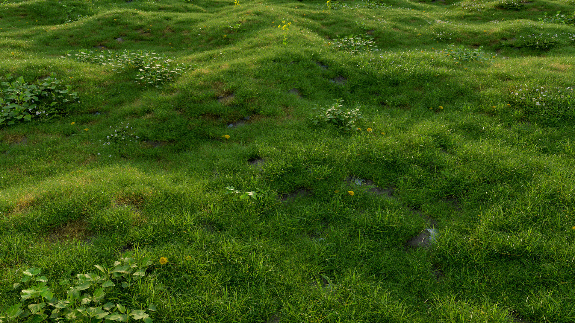 Artstation Grasslands