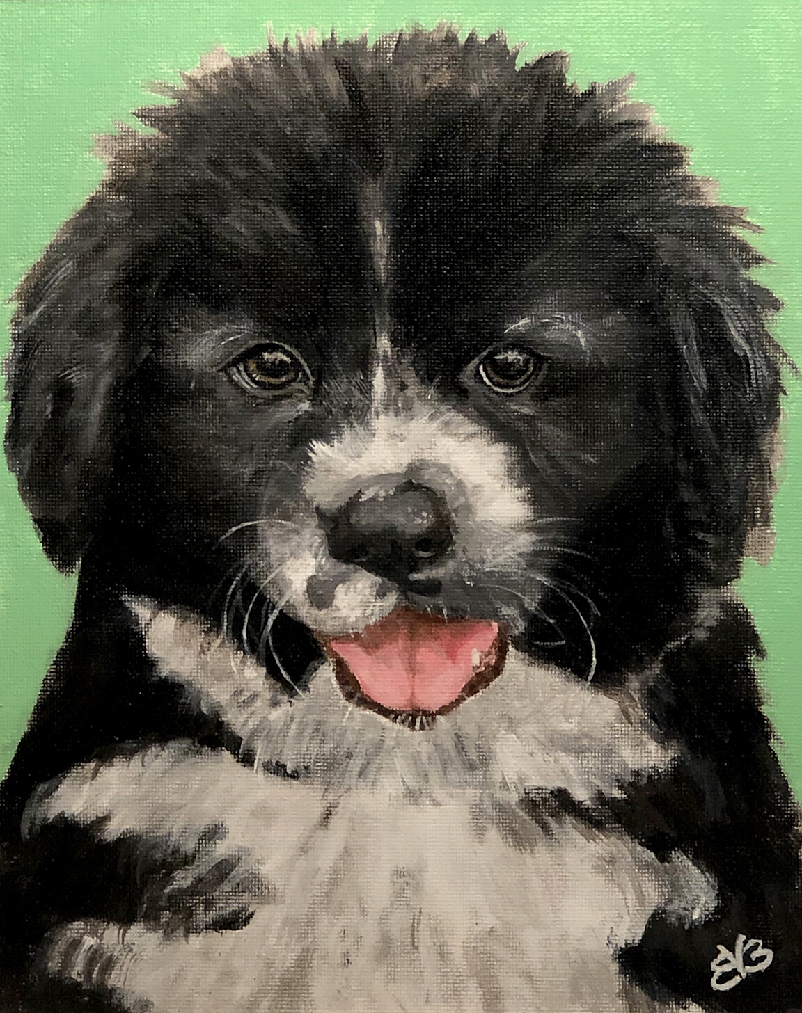 ArtStation - PET PORTRAIT- OREO (2019)