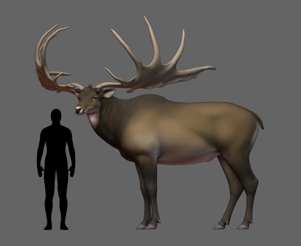 ArtStation - Irish elk (Megaloceros giganteus) Sculpture