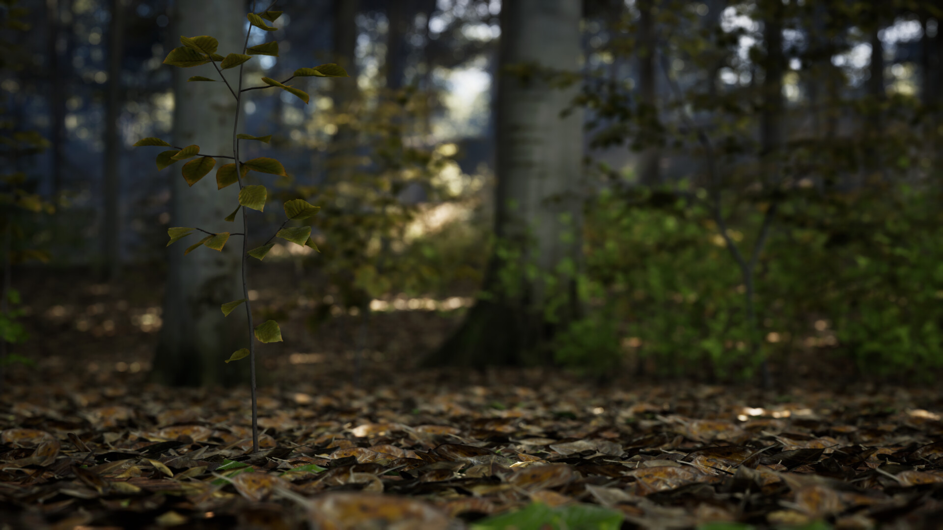 ArtStation - Fun with PCG