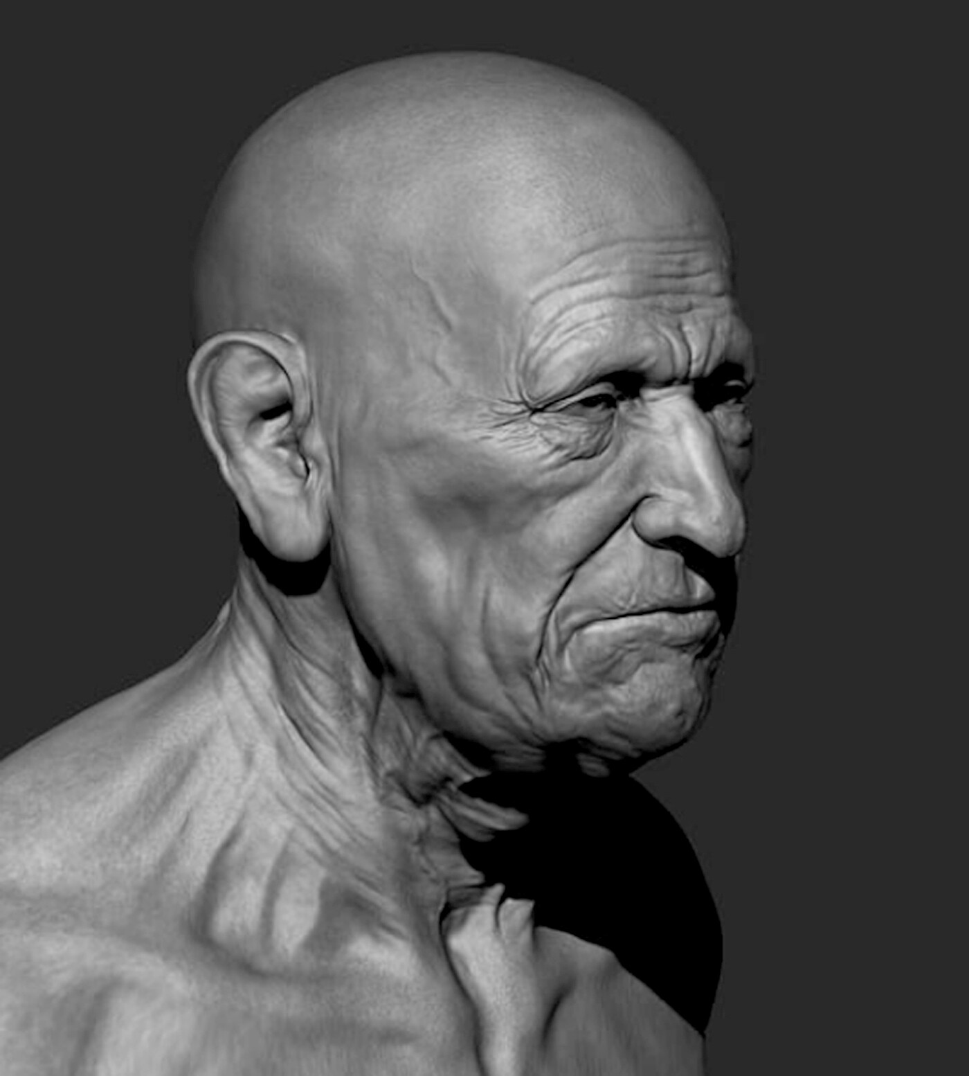 ArtStation - Anatomy study