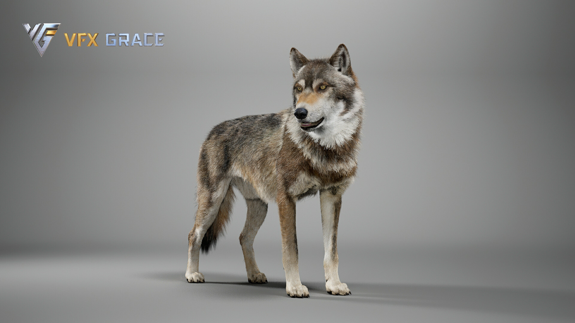 VFX models - Wolf - UE Character Asset