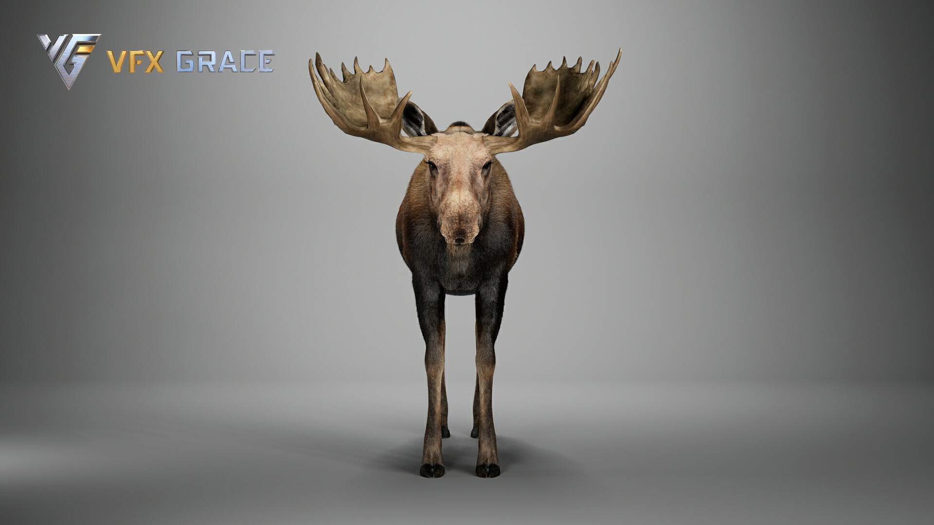 VFX models - Moose Male - UE Character Asset