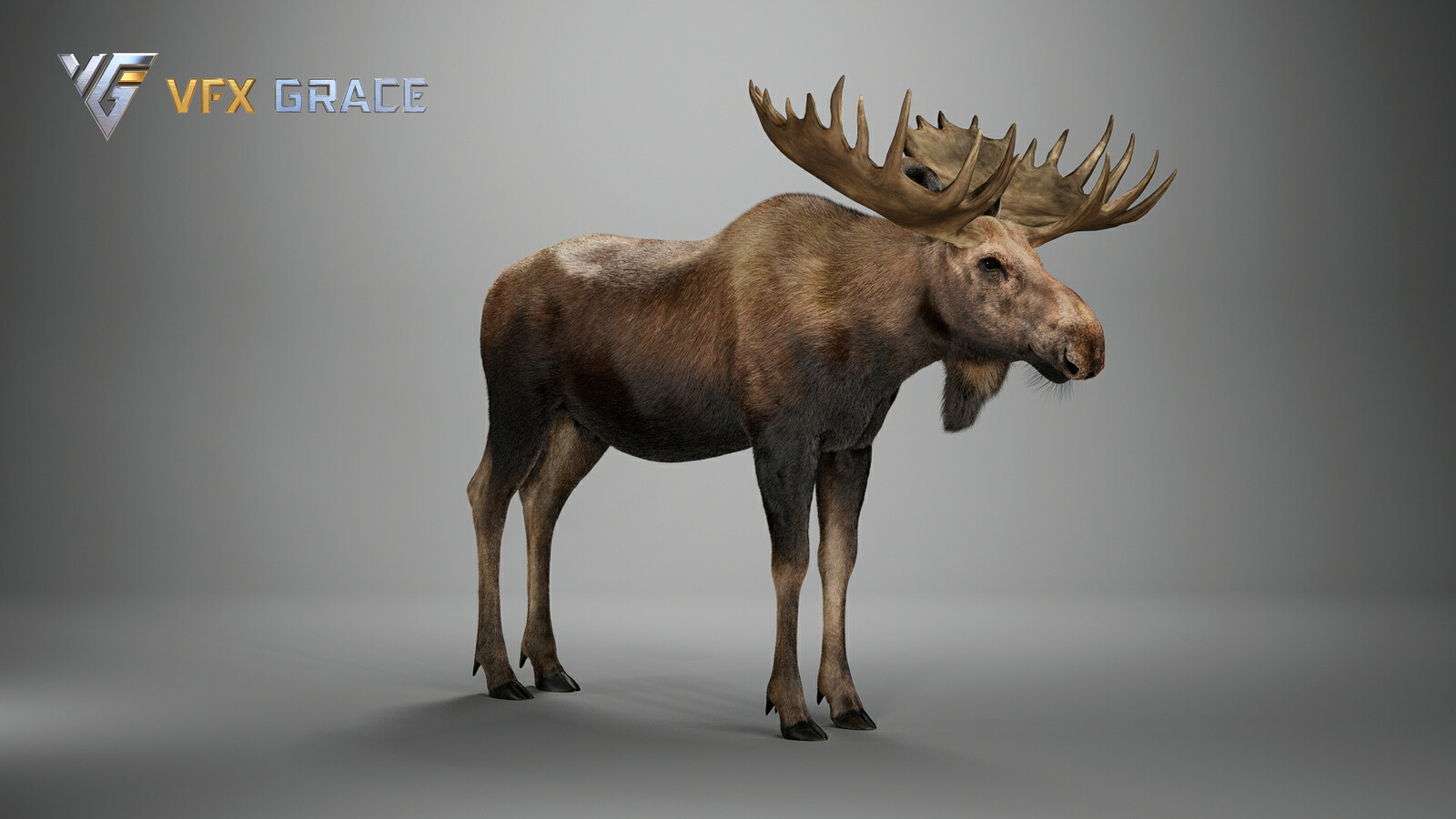 VFX models - Moose Male - UE Character Asset