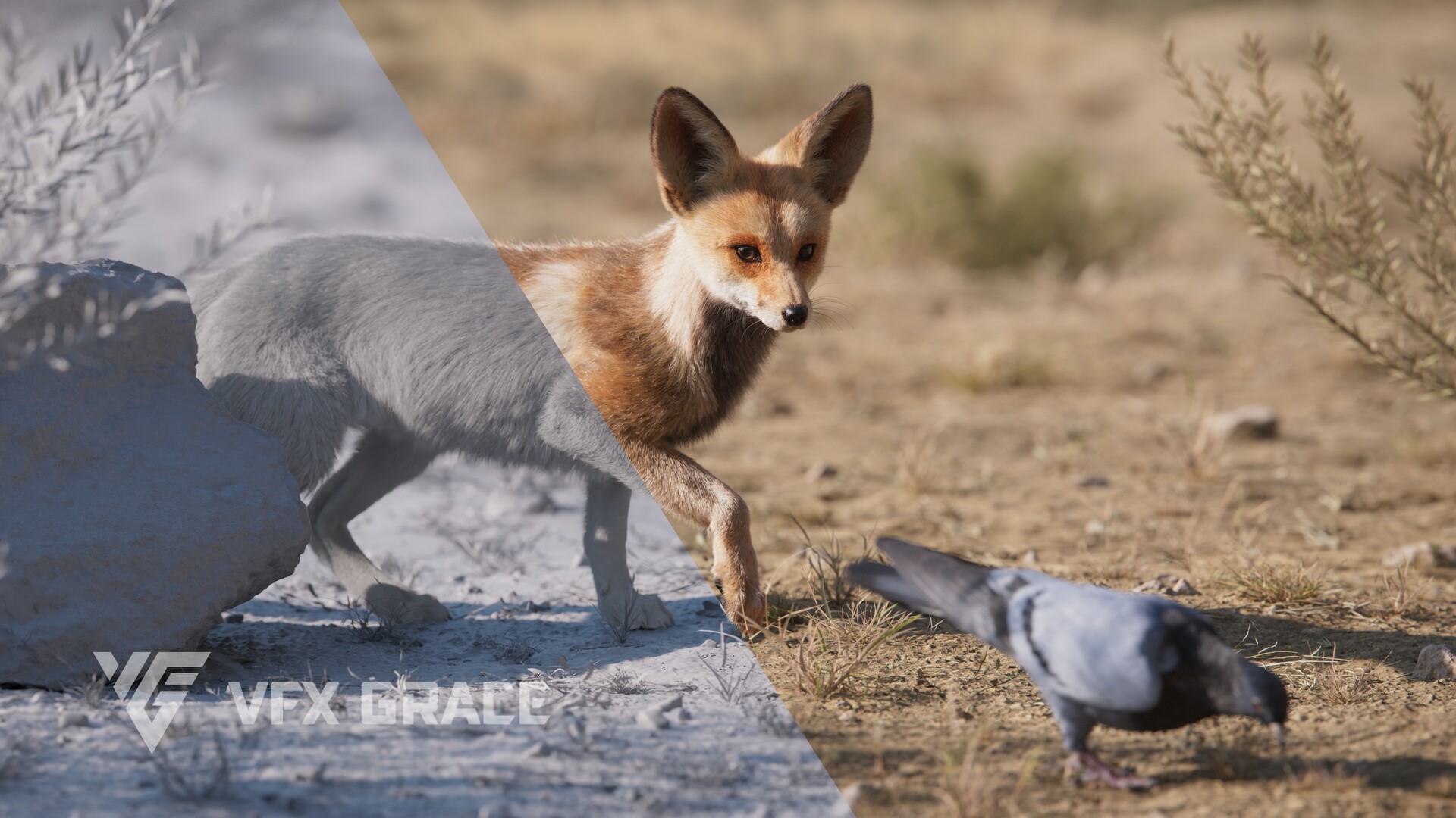 VFX models - Arabian Red Fox Animation | Blender 3d model