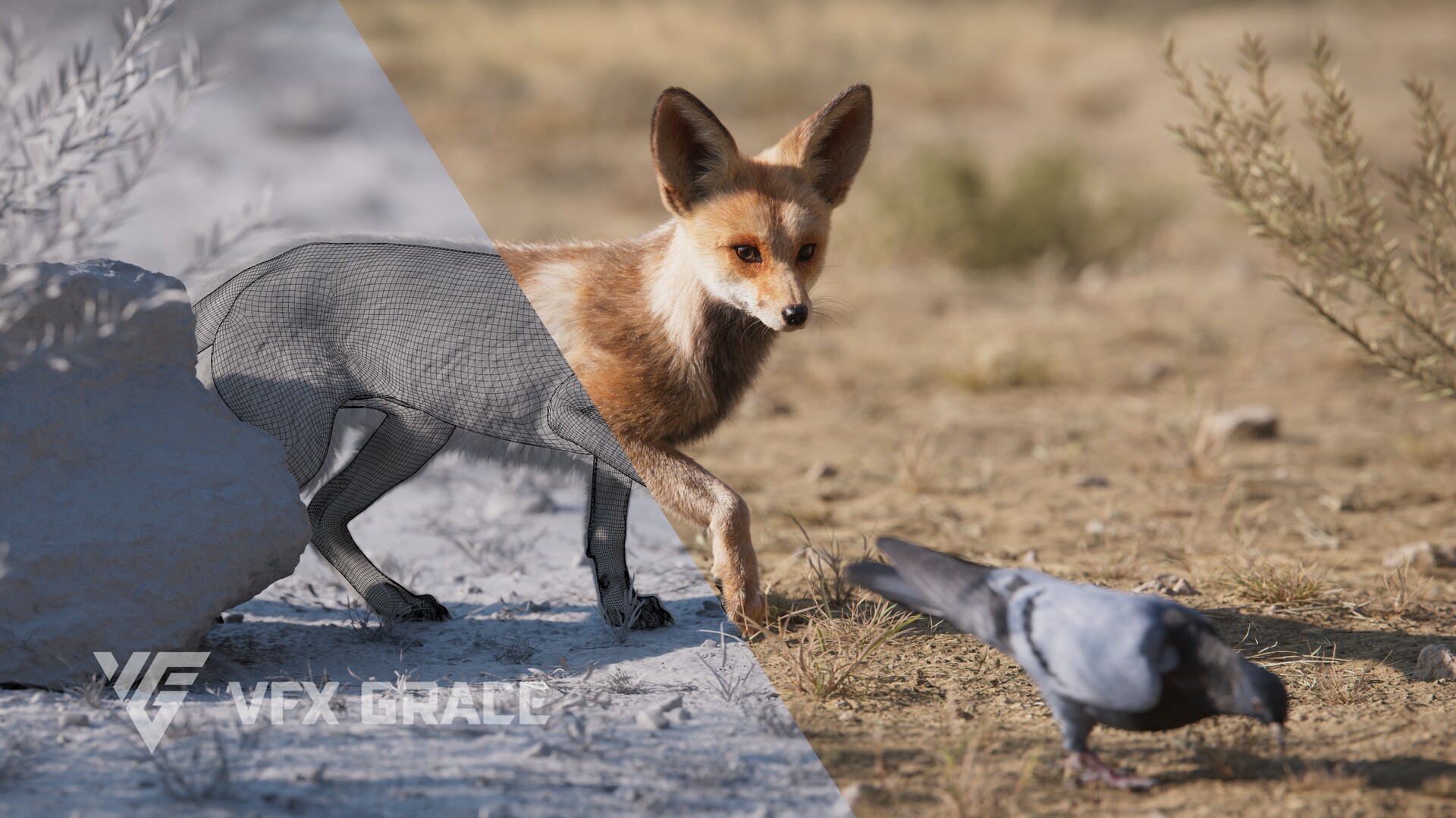 VFX models - Arabian Red Fox Animation | Blender 3d model