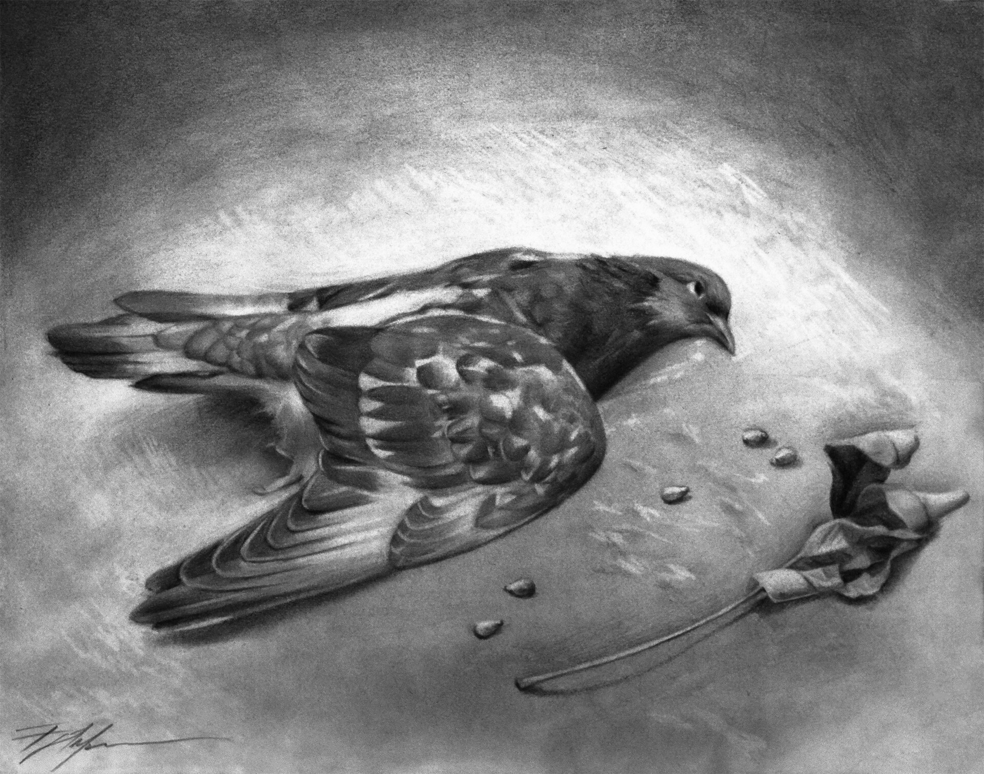 ArtStation - Death - Still Life