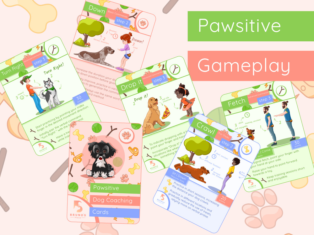 Vira - Bruno’s Pawsitive Dog Coaching Cards