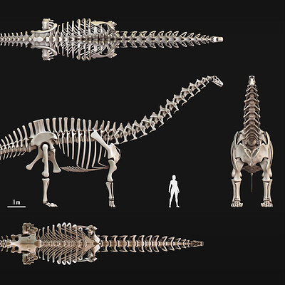 daemonosaurus skeletal
